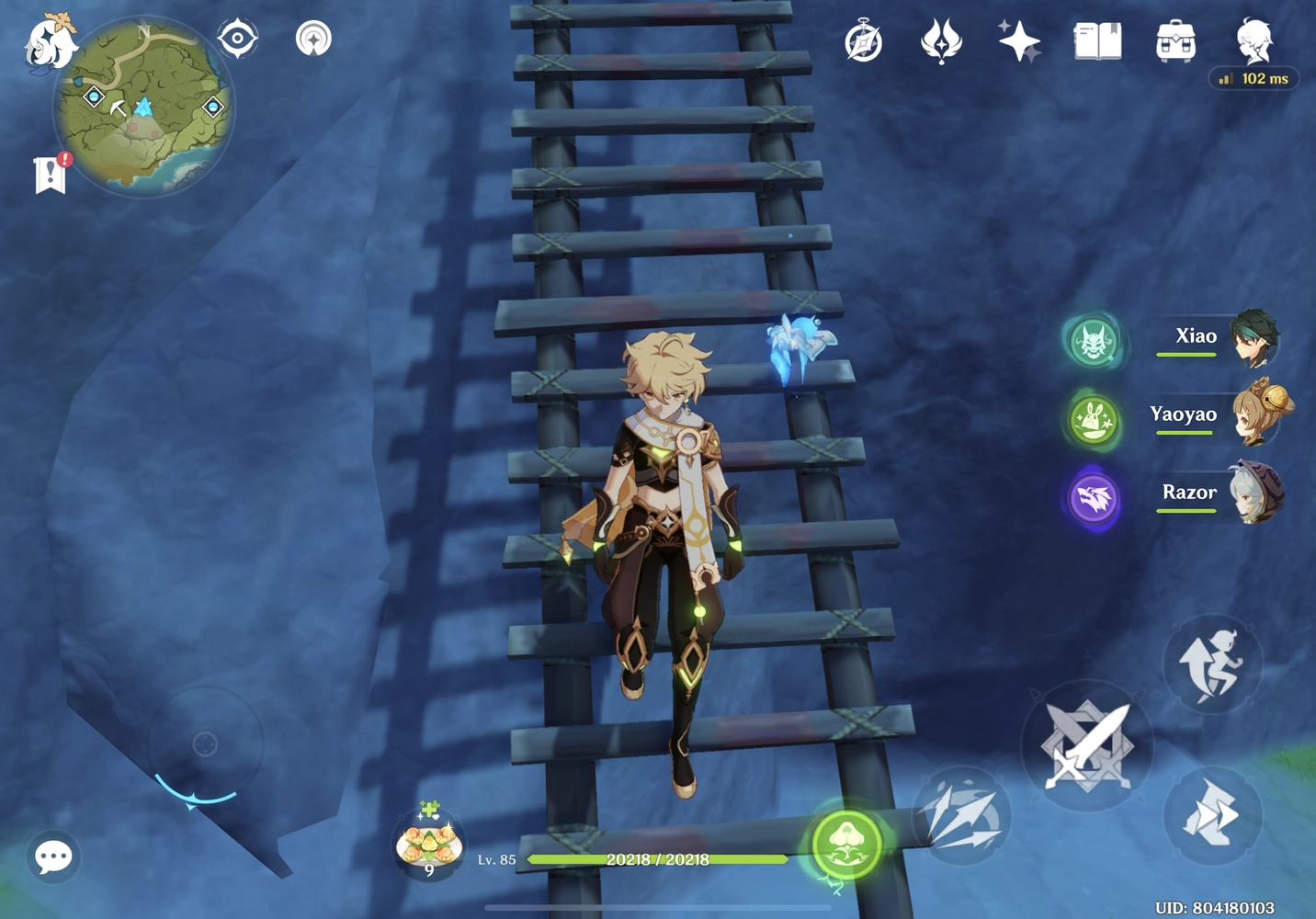 A Ladder where ur charecter’s walk funny! Come to this very location ...