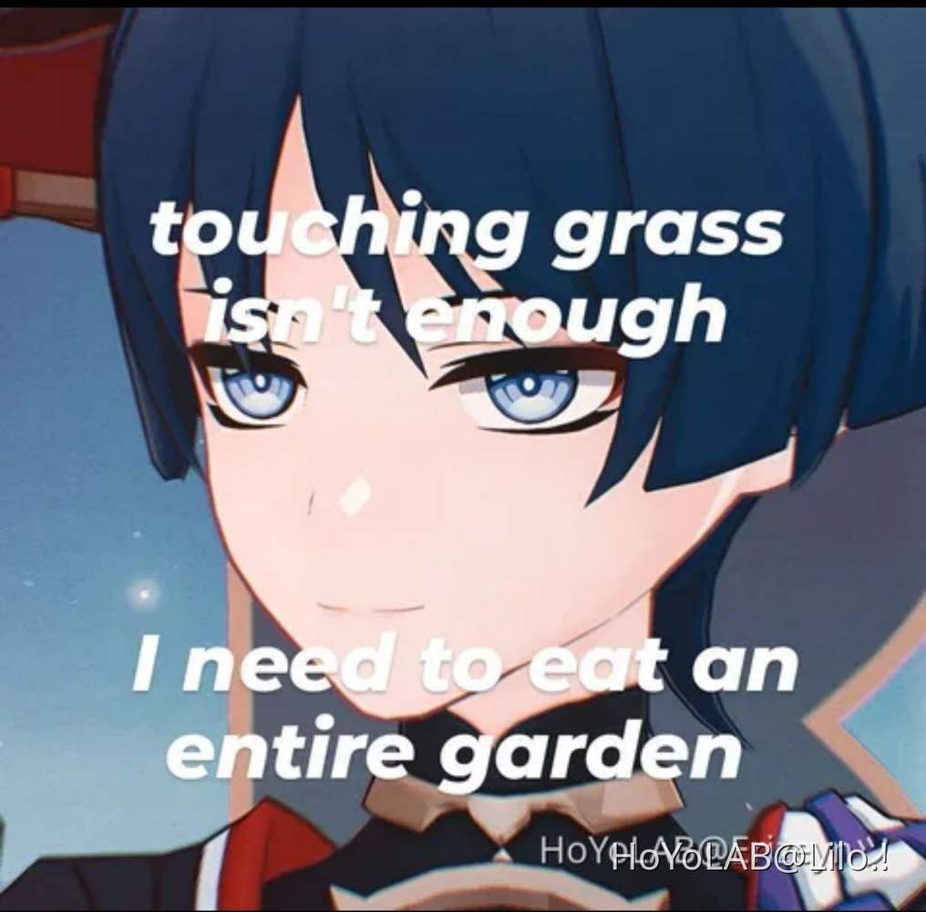 MEME DUMP OF THE DAY (scara theme) Genshin Impact | HoYoLAB