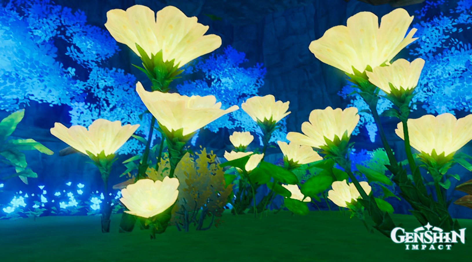 The giant flower garden Genshin Impact | HoYoLAB