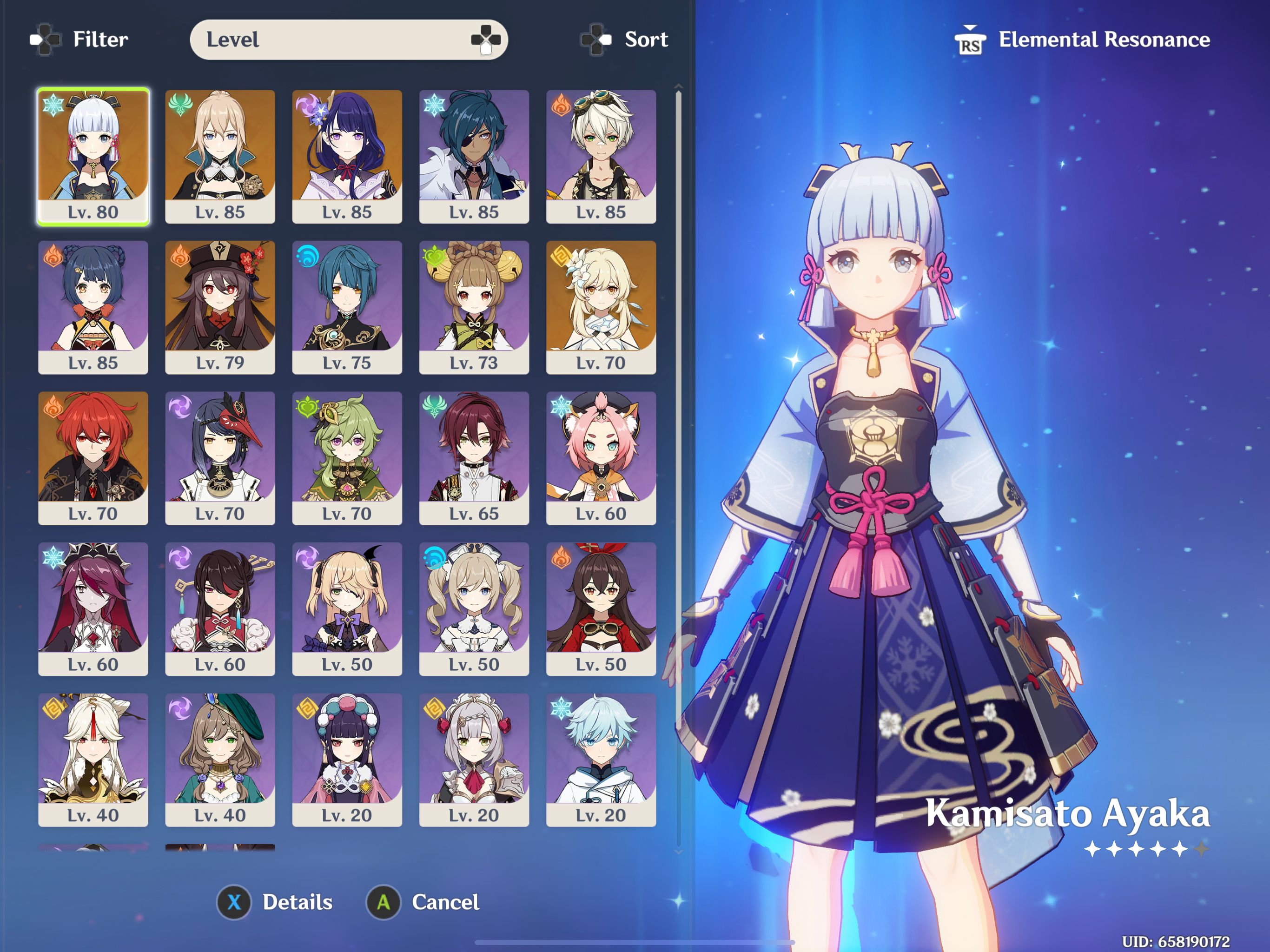 Best team comp for Ayaka? Genshin Impact | HoYoLAB