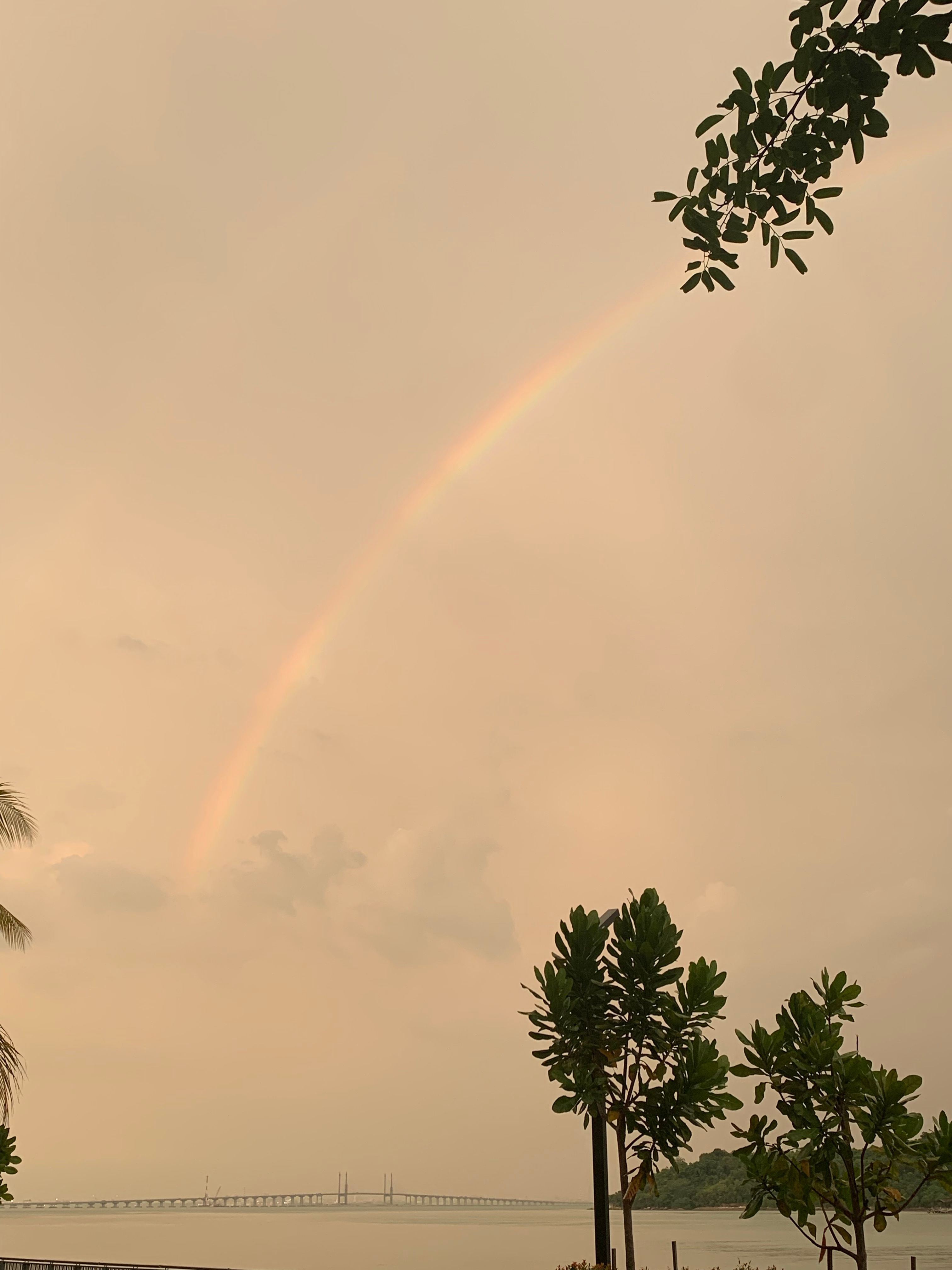 OMG Genshin Impact | HoYoLAB