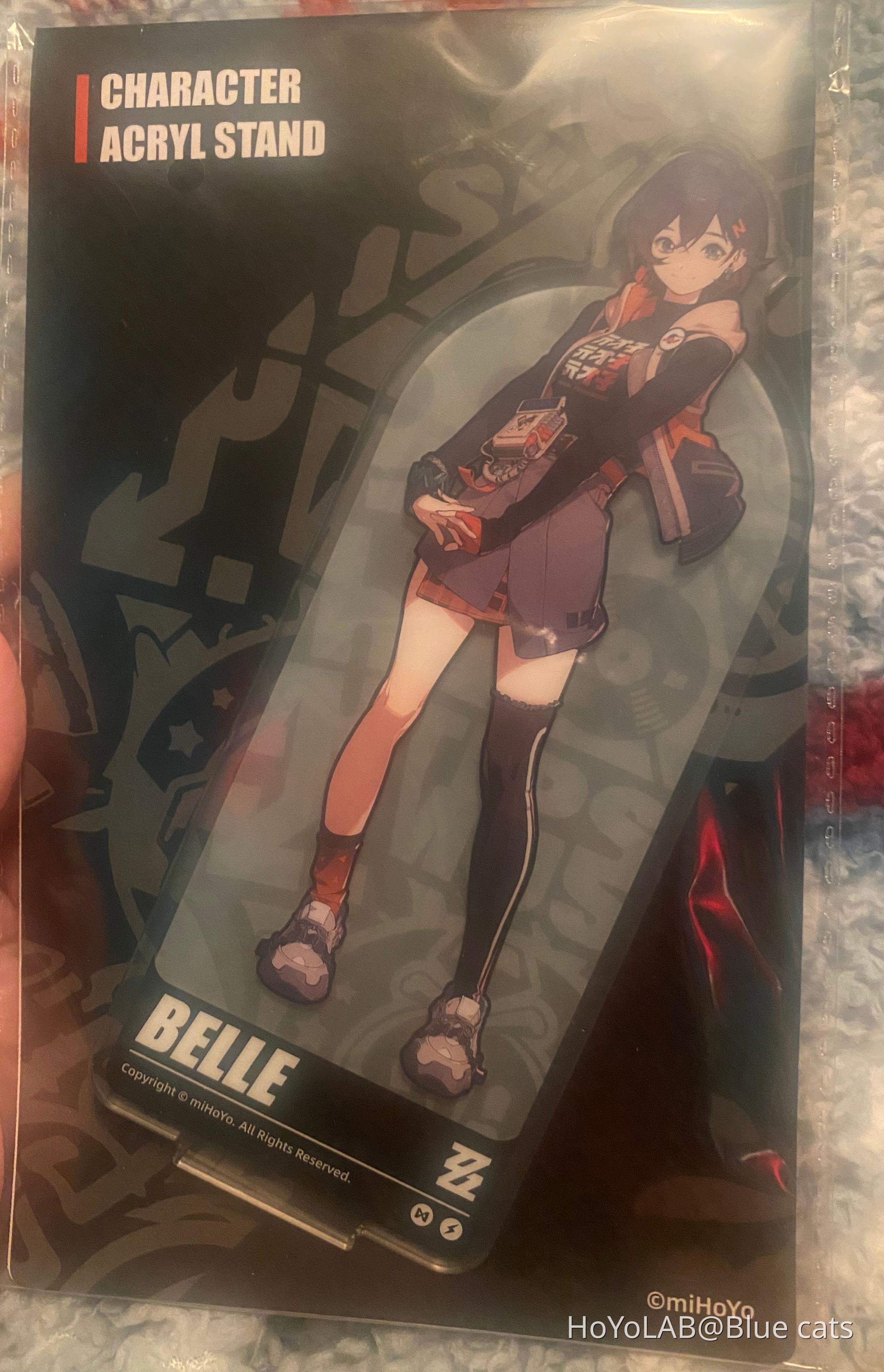 My ZZZ acrylic stand finally came in the mail 🙏🙏🙏🙏 Zenless Zone Zero ...