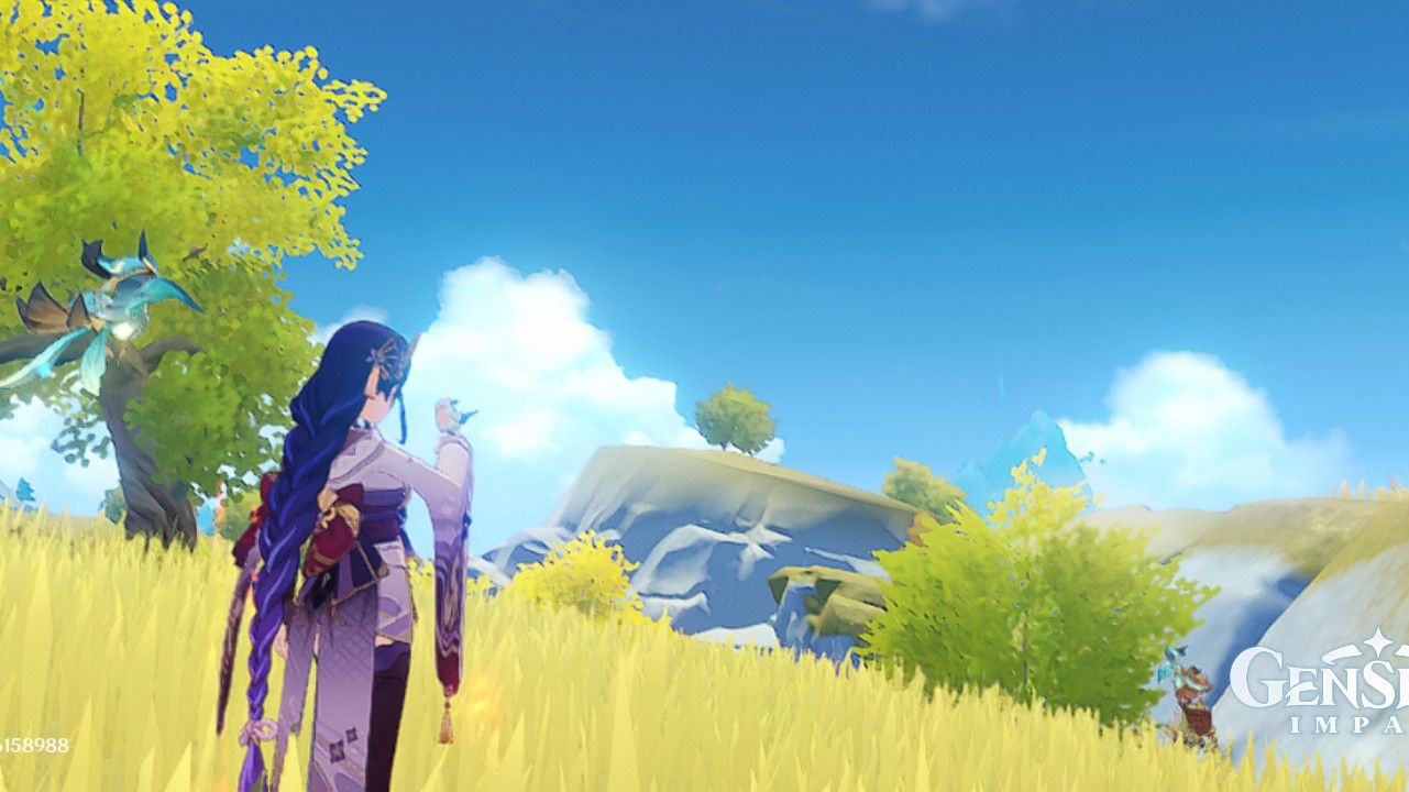 Raiden with her bird Genshin Impact | HoYoLAB