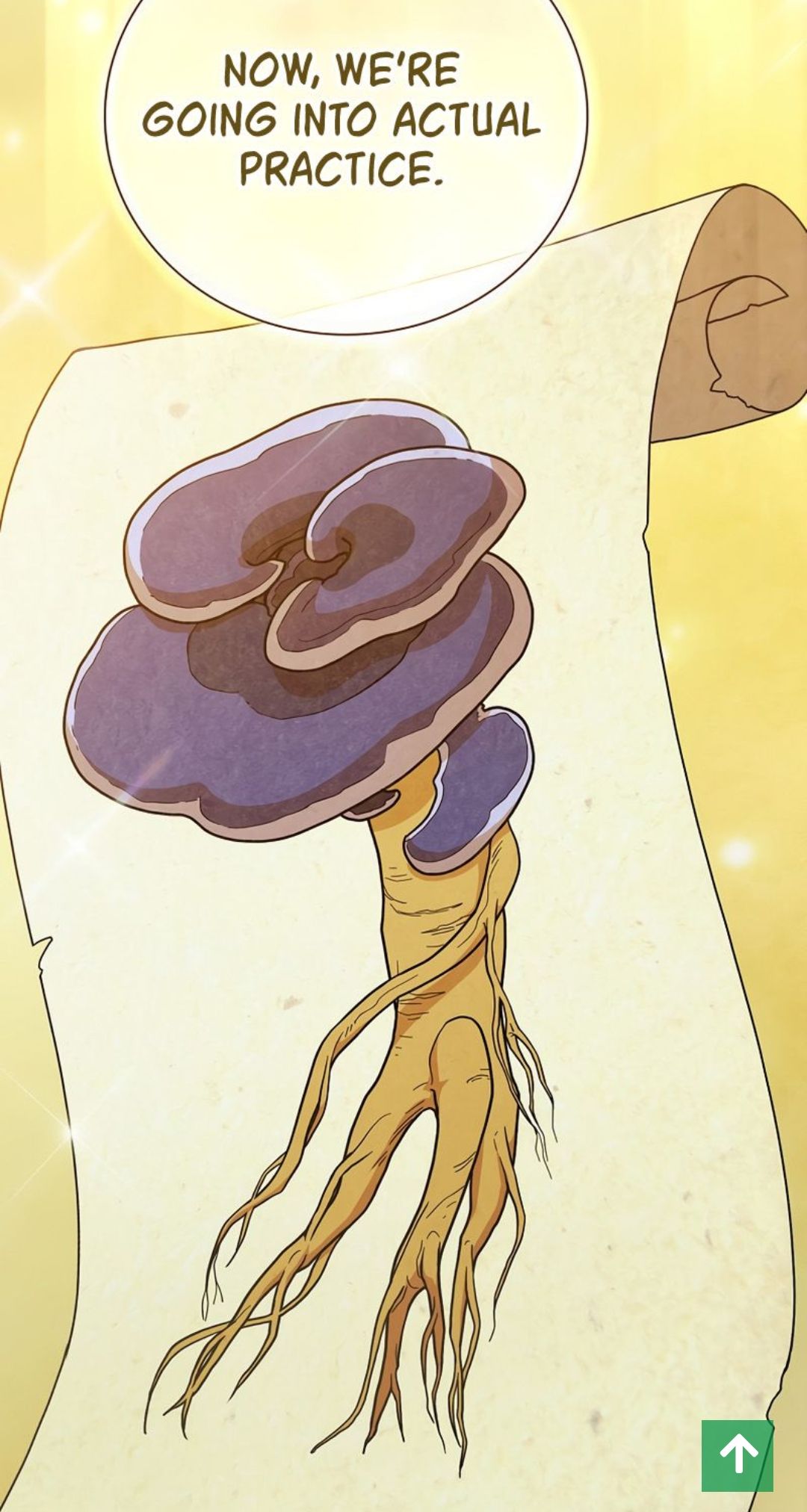 Now we know how the roots look like Genshin Impact | HoYoLAB