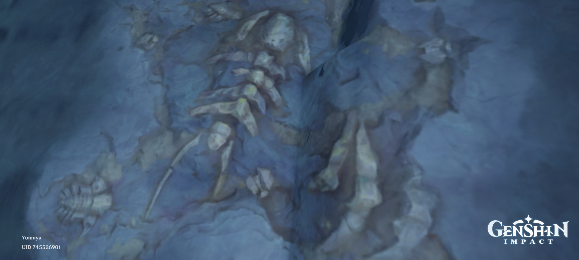 primo Genshin Impact | HoYoLAB