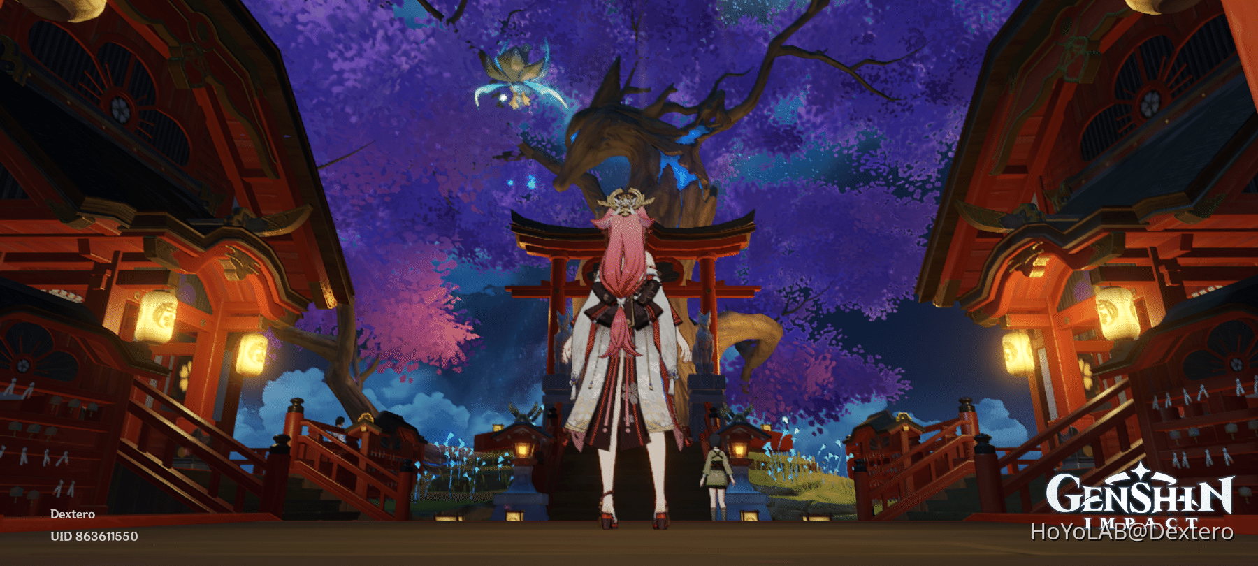 The manifestation of Ei's and Makoto's protection over Inazuma Genshin ...