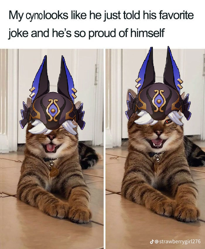 I created a meme it's my first ever one Genshin Impact | HoYoLAB