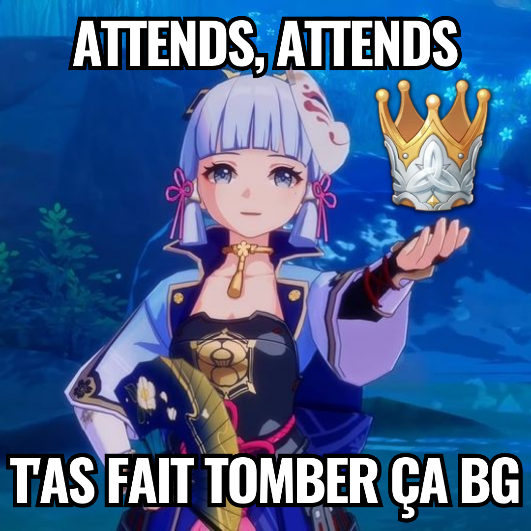 Memes faits maison à placer dans une conv' - édition Ayaka & Shenhe ...
