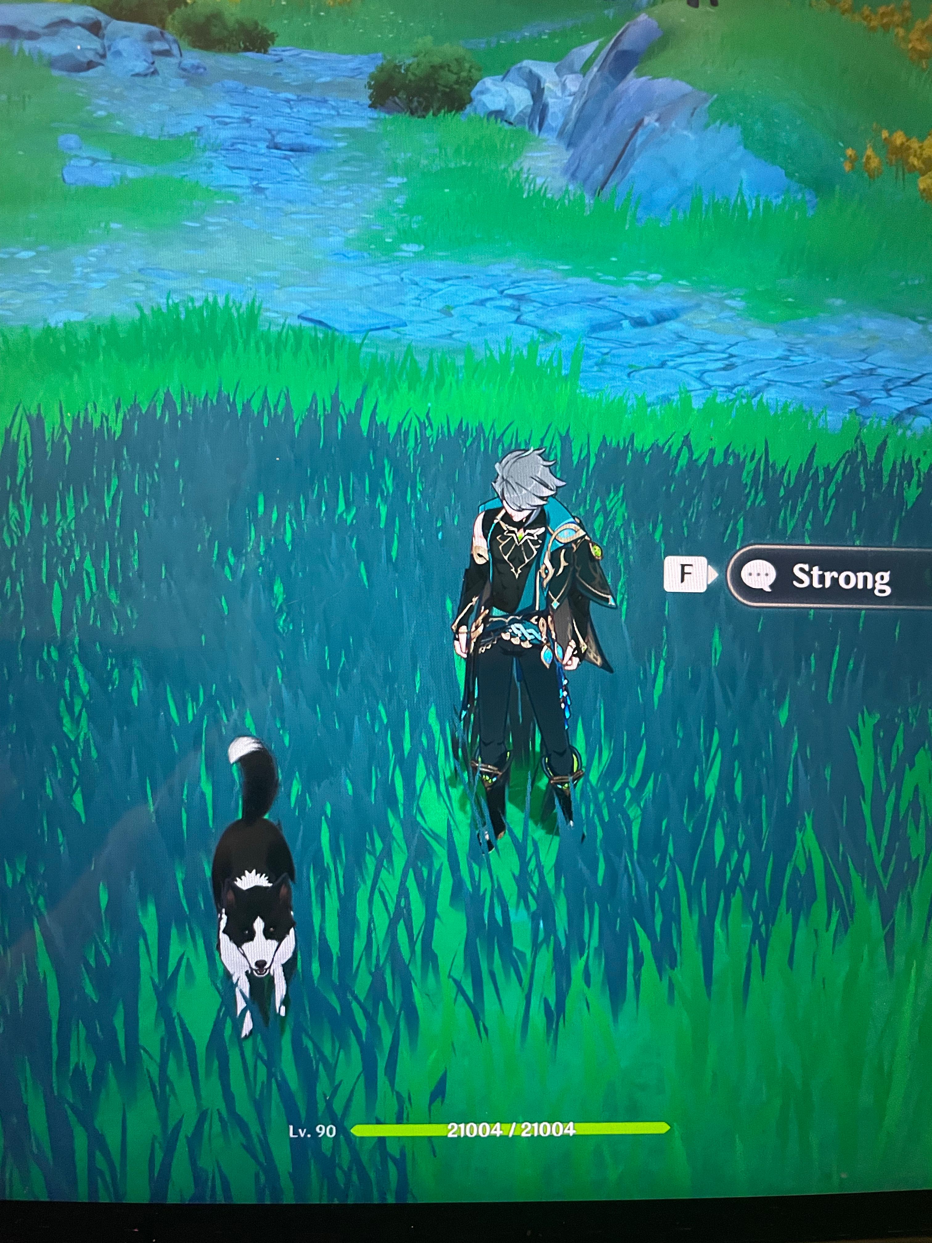 How to get rid of this dog? Genshin Impact | HoYoLAB
