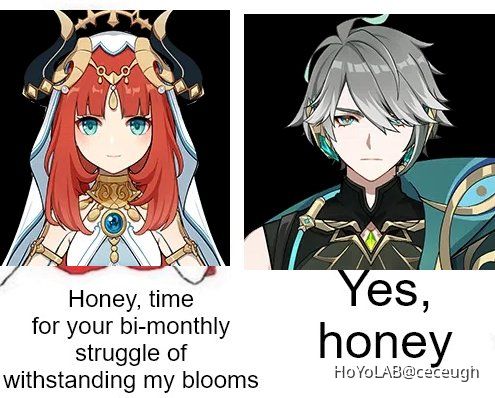 some hailou content Genshin Impact | HoYoLAB