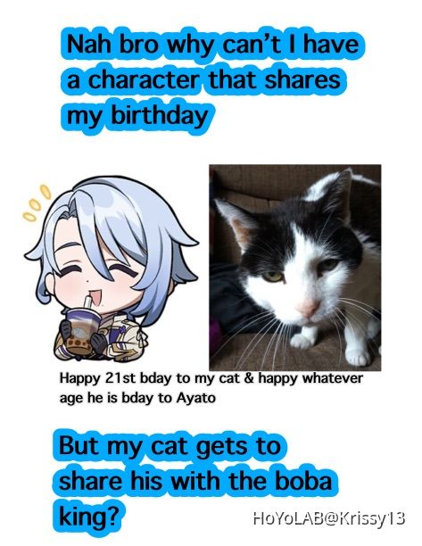 Happy birthday to my cat Oscar and to Ayato! Genshin Impact | HoYoLAB