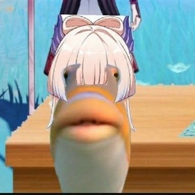 kokofish Genshin Impact | HoYoLAB