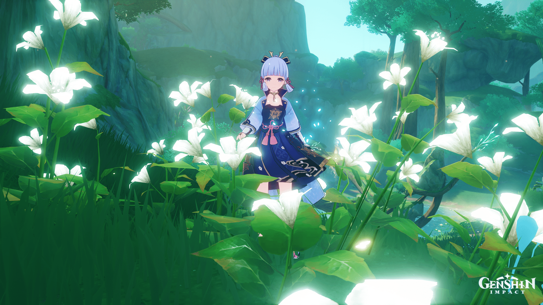Ayaka amidst the Sumeru flowers~ Genshin Impact | HoYoLAB