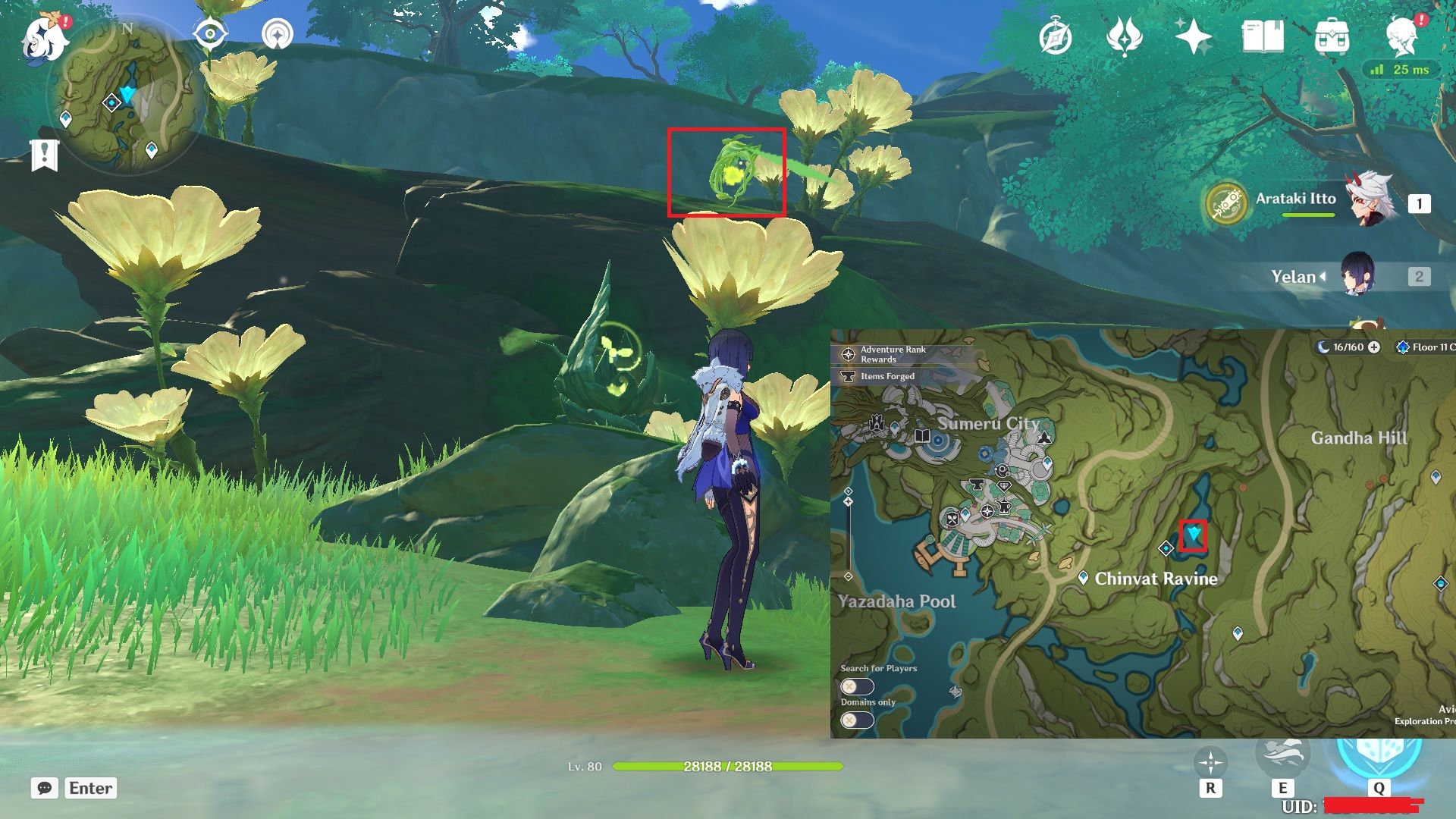 Dendrograna Common Treasure sumeru Genshin Impact | HoYoLAB