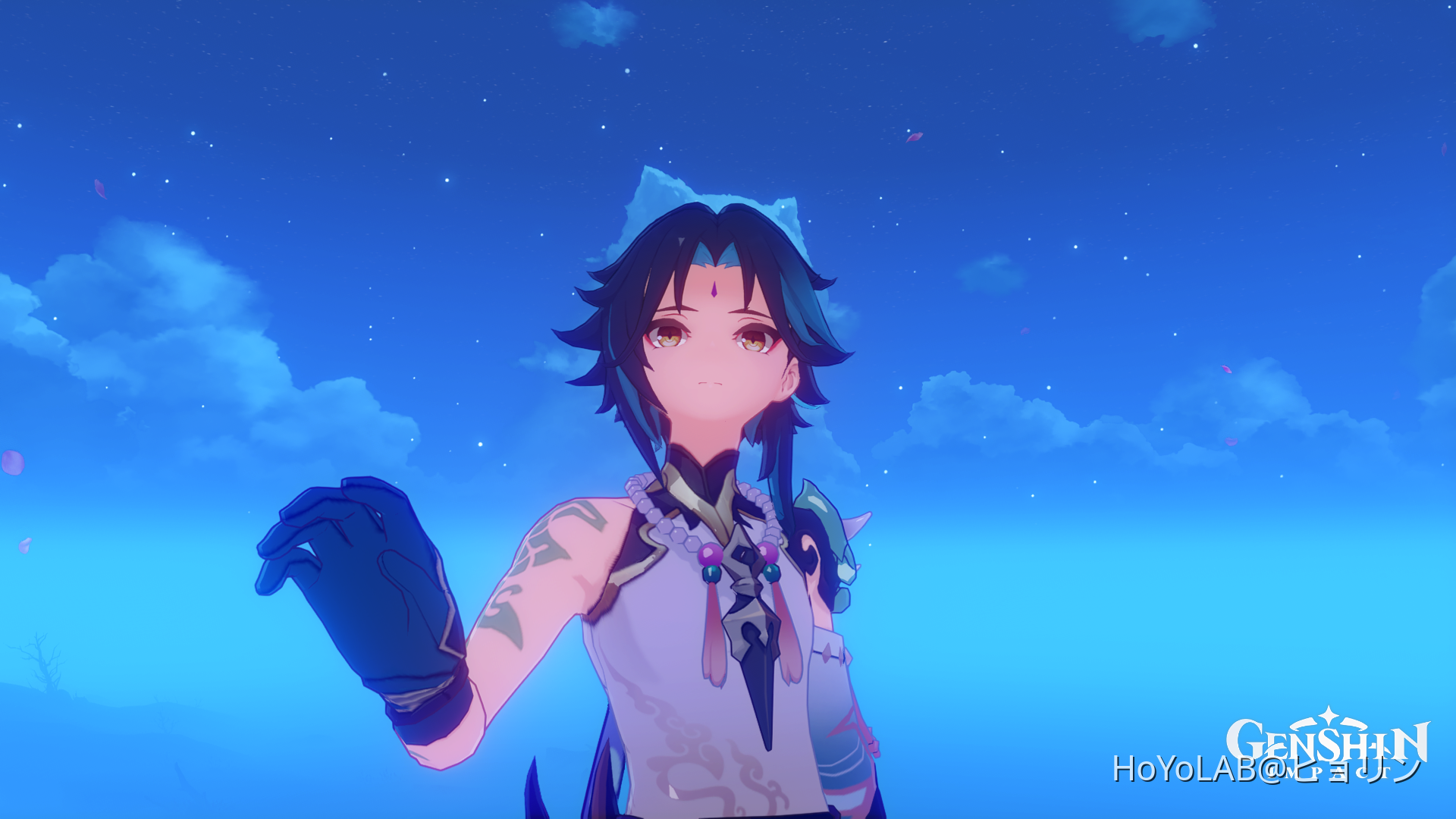 poor kitty Genshin Impact | HoYoLAB