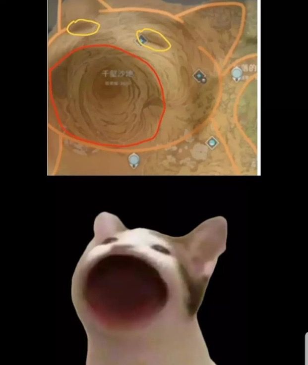 The pop cat map Genshin Impact | HoYoLAB