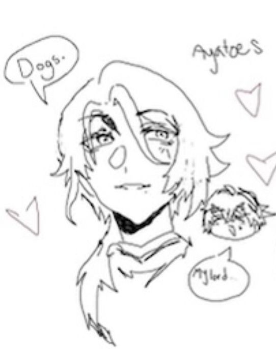 Ayatoes Genshin Impact | HoYoLAB