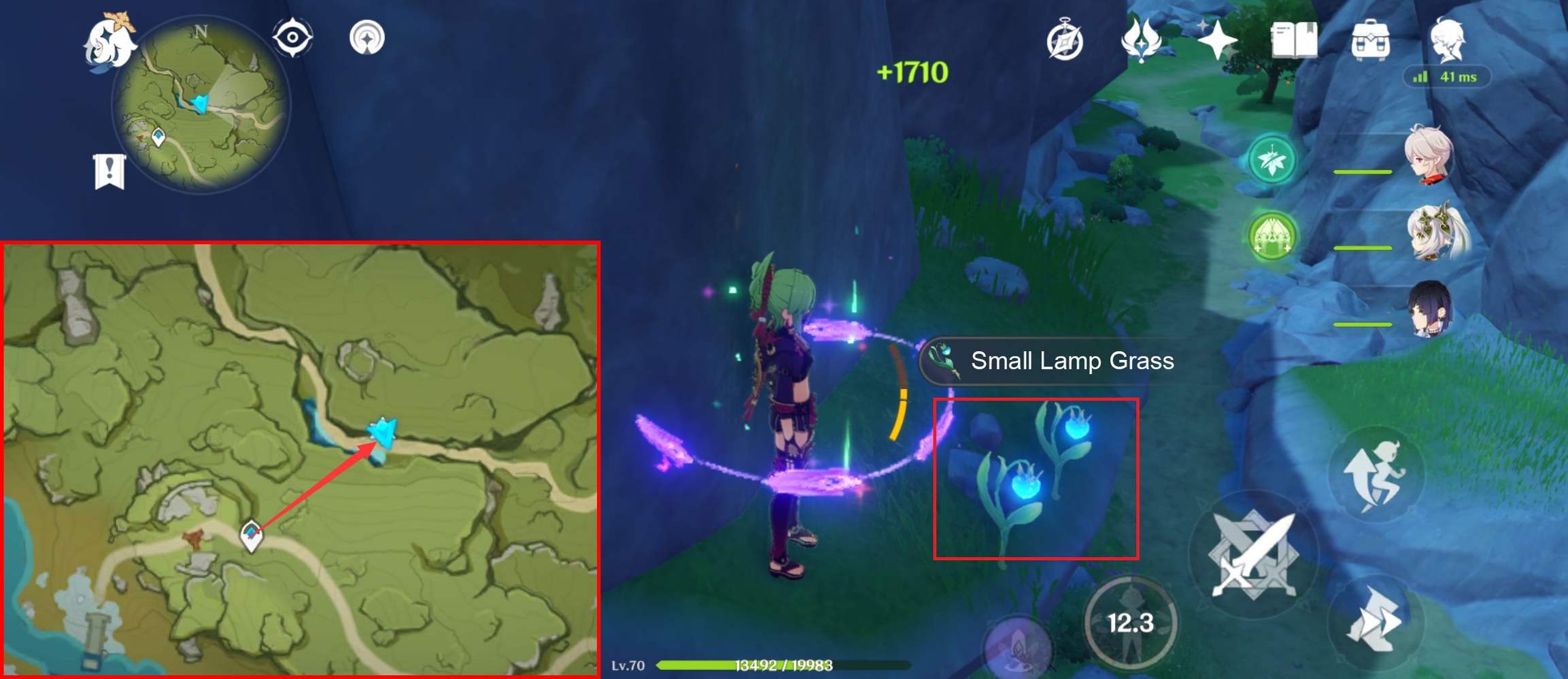 Small Lamp Grass*77 – Produce Material Farming Guide Genshin Impact ...