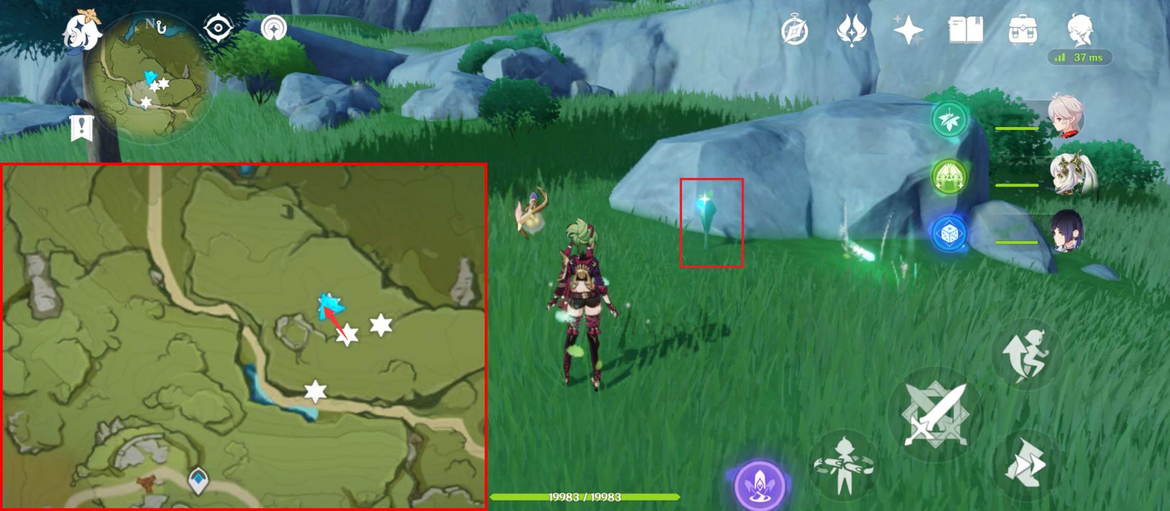 Small Lamp Grass*77 – Produce Material Farming Guide Genshin Impact ...