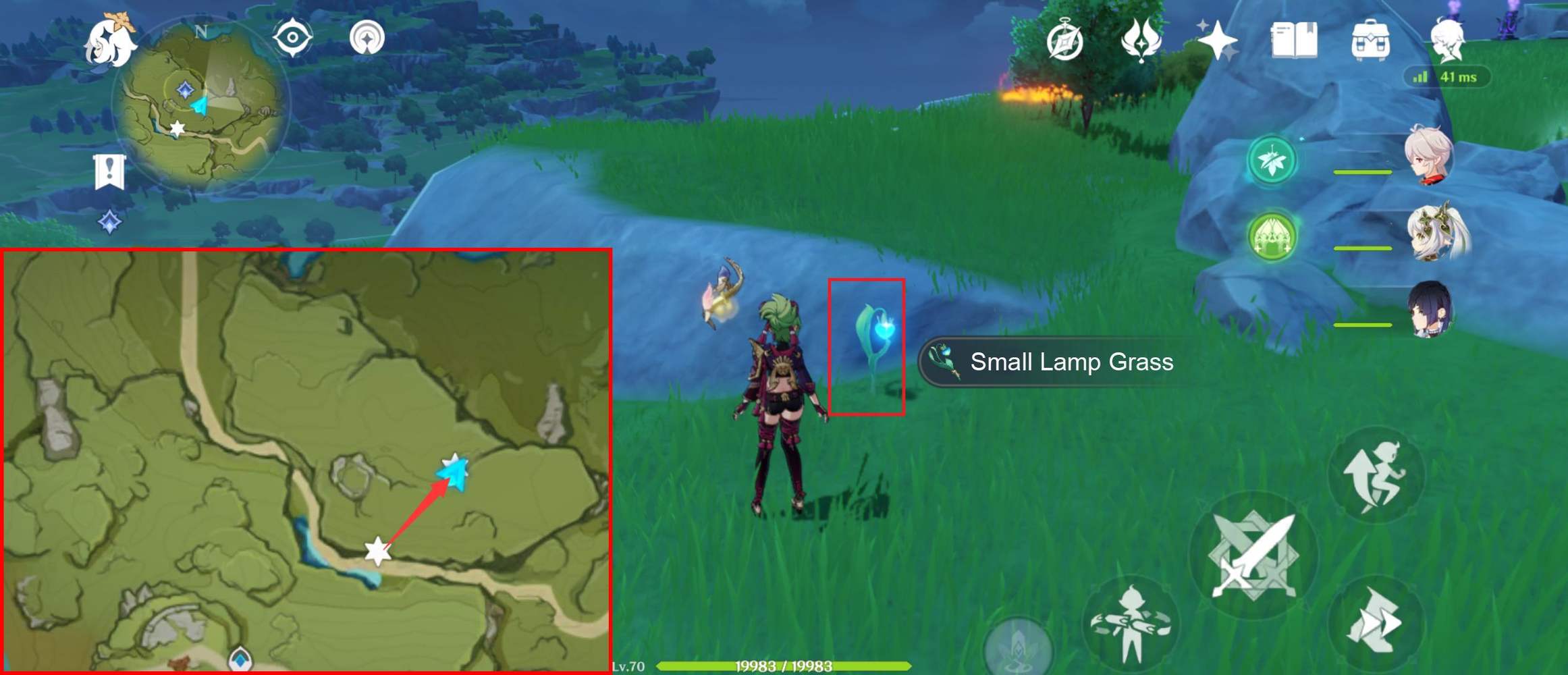 Small Lamp Grass*77 – Produce Material Farming Guide Genshin Impact ...