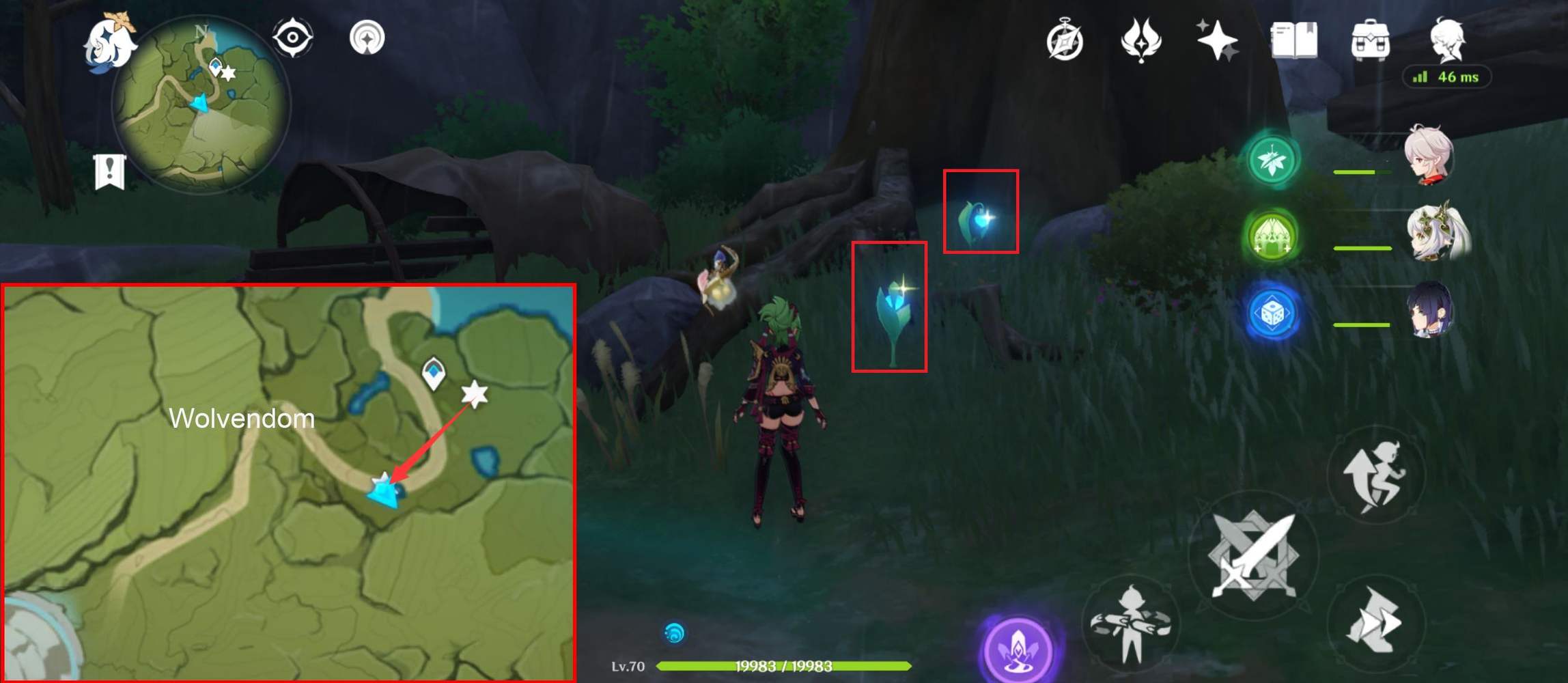 Small Lamp Grass*77 – Produce Material Farming Guide Genshin Impact ...