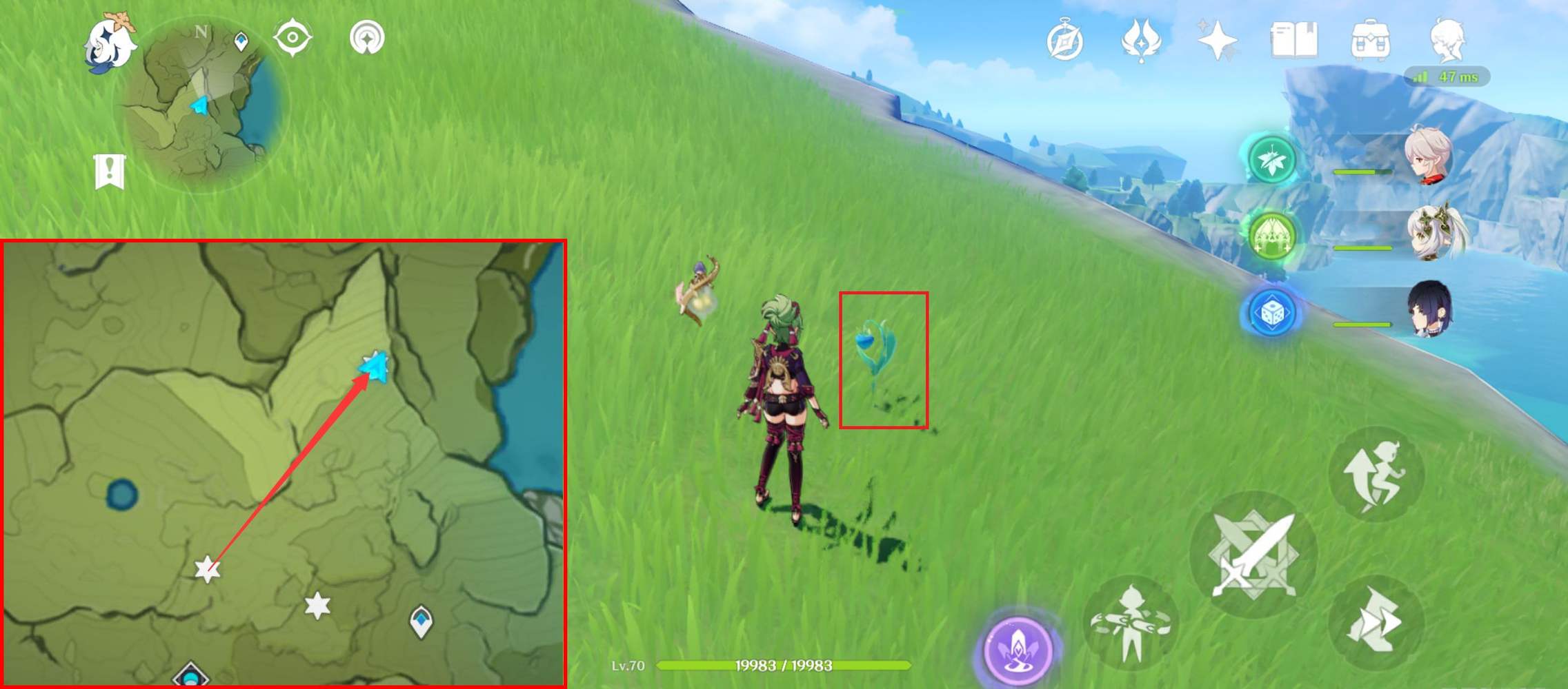 Small Lamp Grass*77 – Produce Material Farming Guide Genshin Impact ...