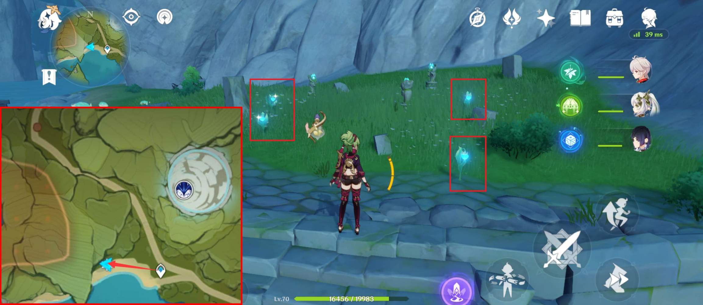 Small Lamp Grass*77 – Produce Material Farming Guide Genshin Impact ...