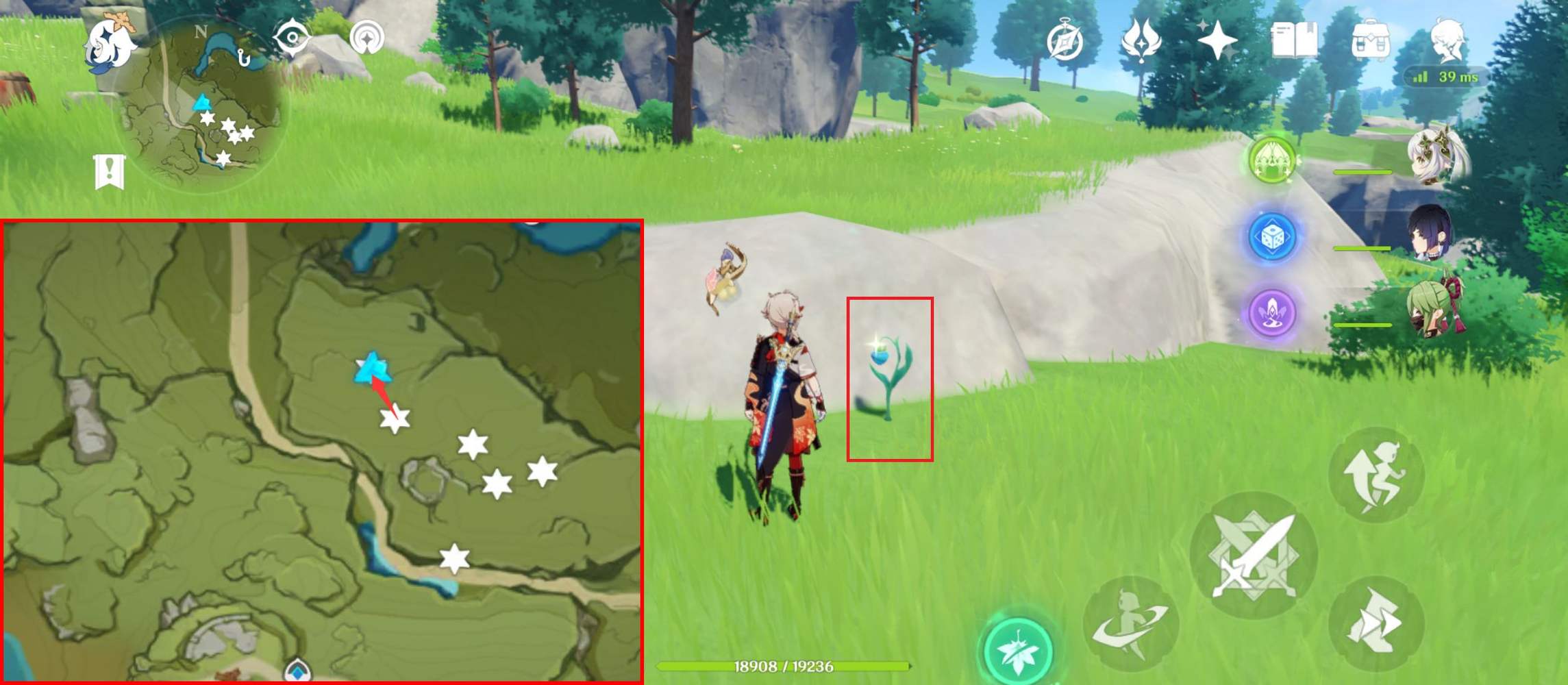 Small Lamp Grass*77 – Produce Material Farming Guide Genshin Impact ...