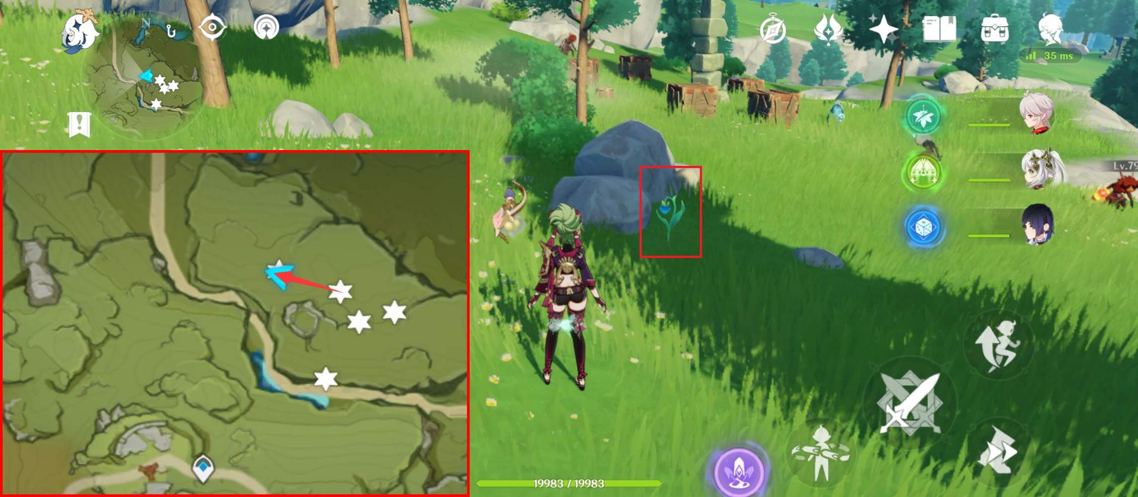 Small Lamp Grass*77 – Produce Material Farming Guide Genshin Impact ...