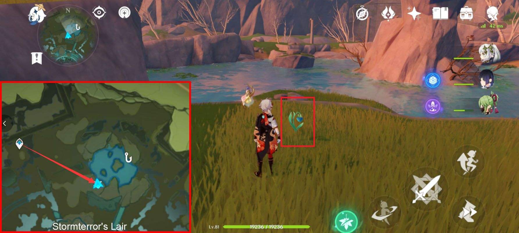 Small Lamp Grass*77 – Produce Material Farming Guide Genshin Impact ...