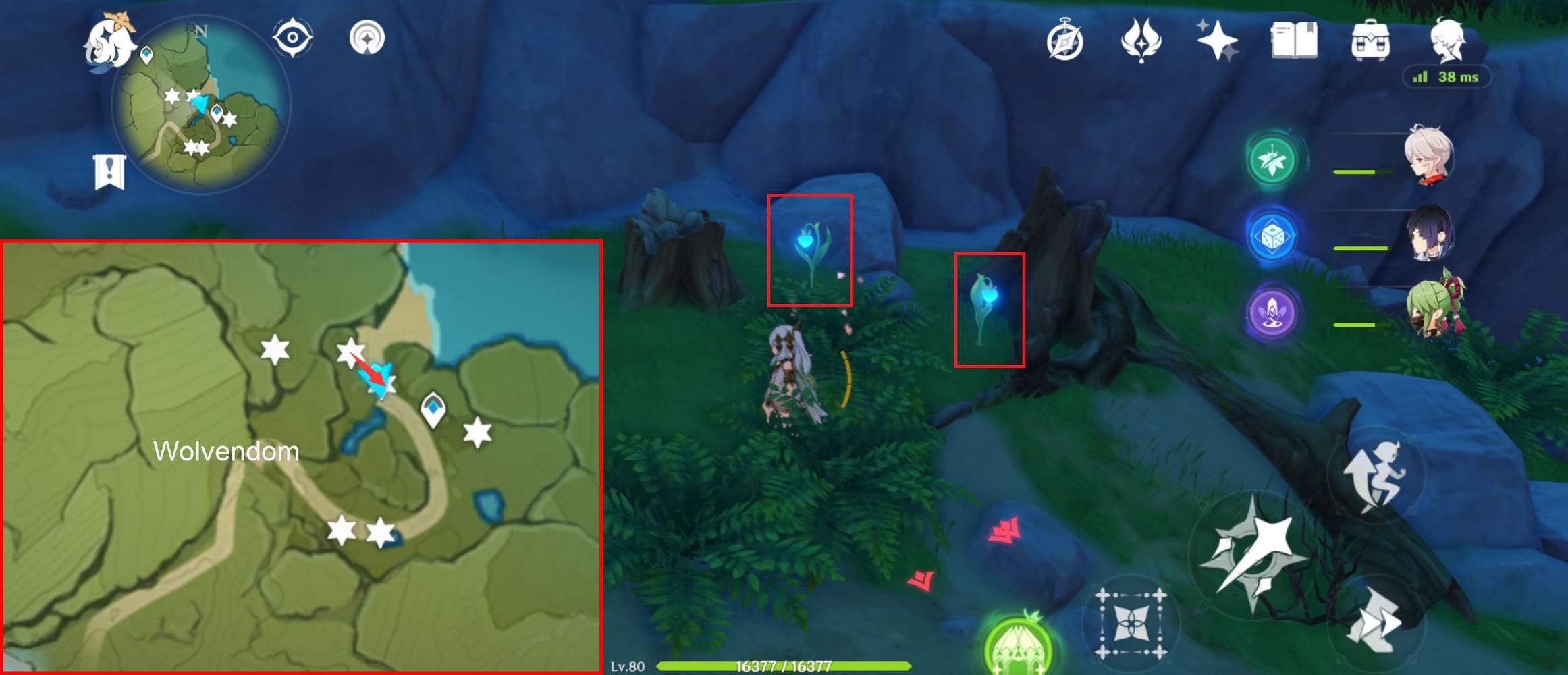 Small Lamp Grass*77 – Produce Material Farming Guide Genshin Impact ...