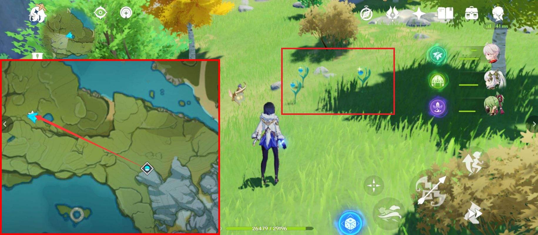 Small Lamp Grass*77 – Produce Material Farming Guide Genshin Impact ...