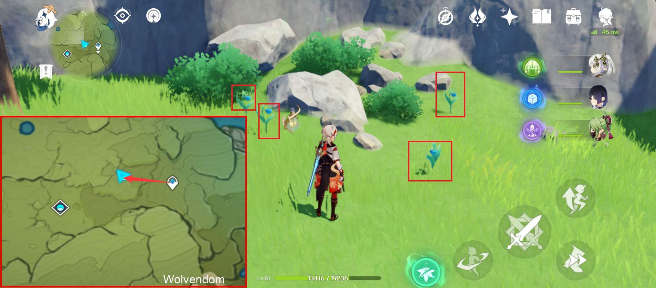 Small Lamp Grass*77 – Produce Material Farming Guide Genshin Impact ...