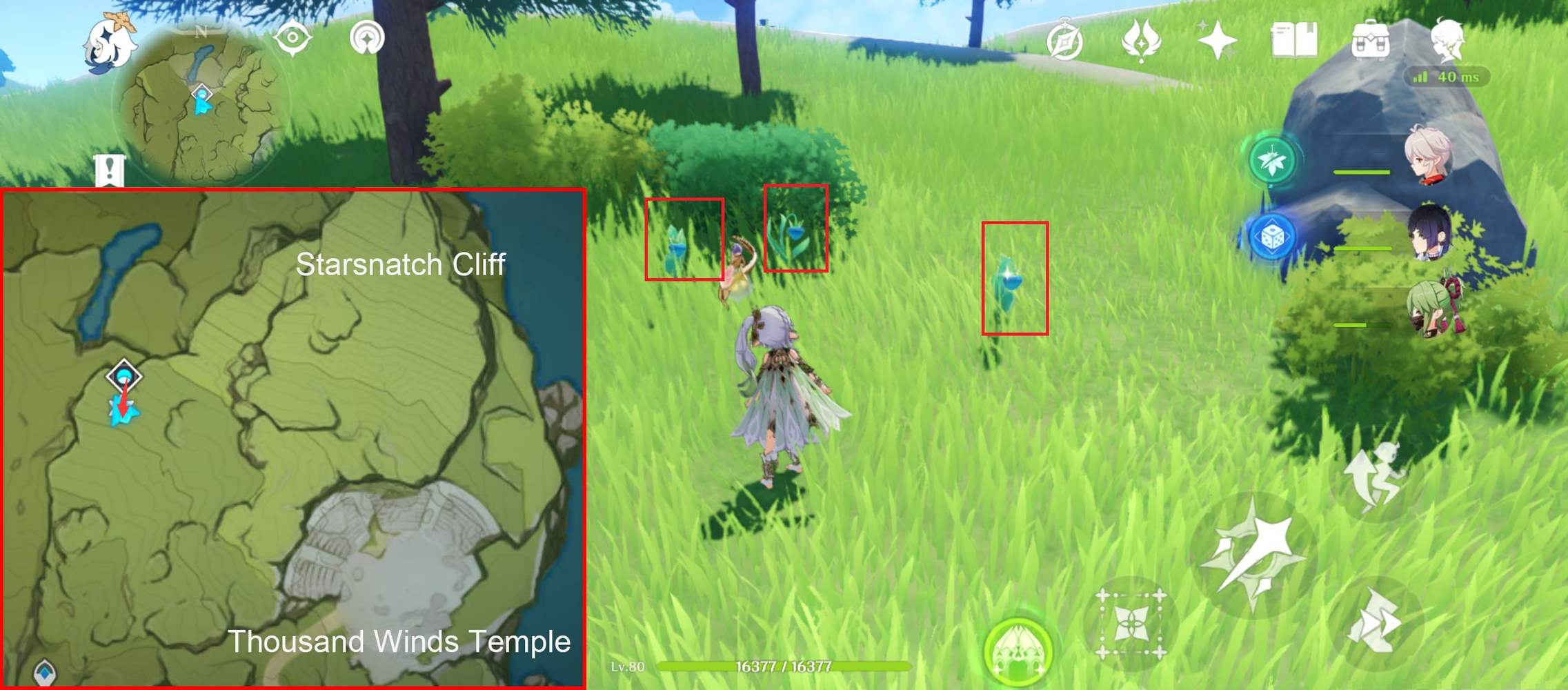 Small Lamp Grass*77 – Produce Material Farming Guide Genshin Impact ...