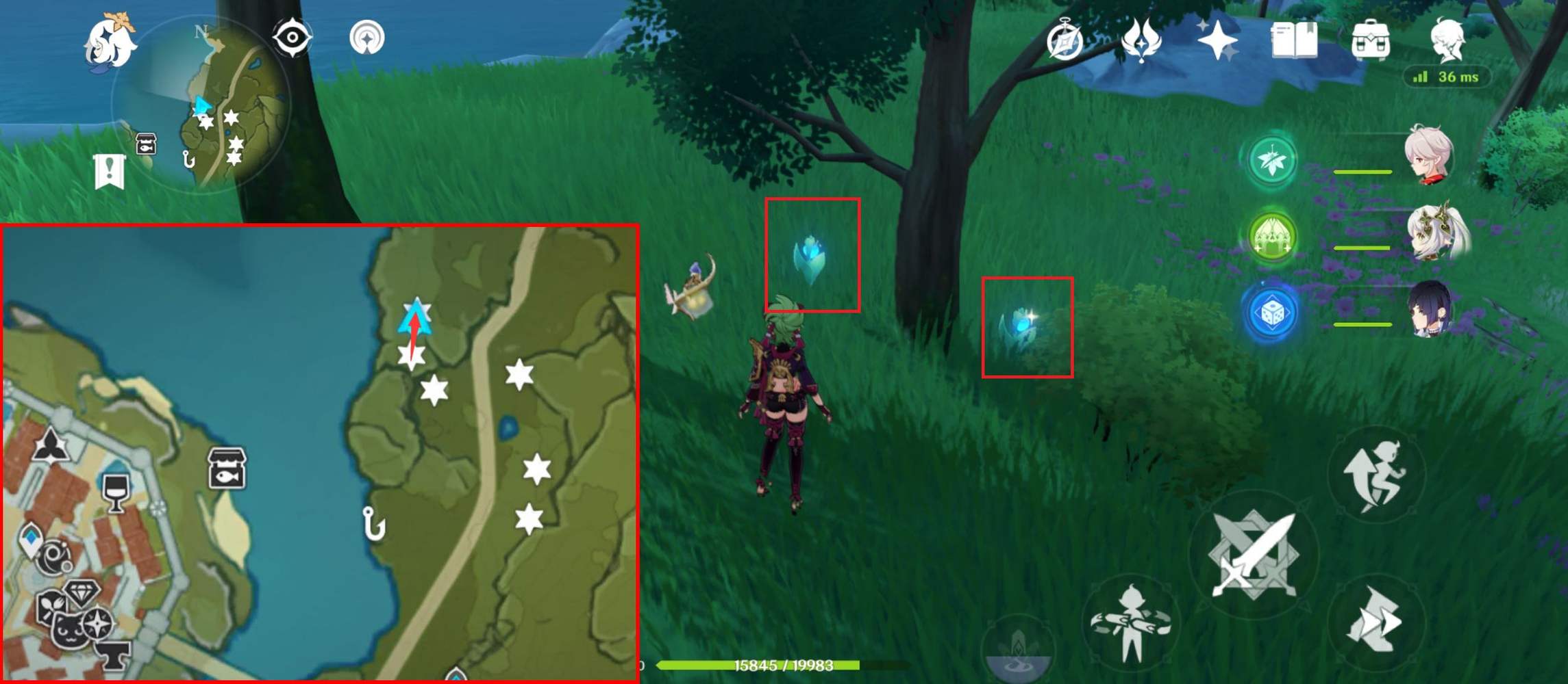 Small Lamp Grass*77 – Produce Material Farming Guide Genshin Impact ...