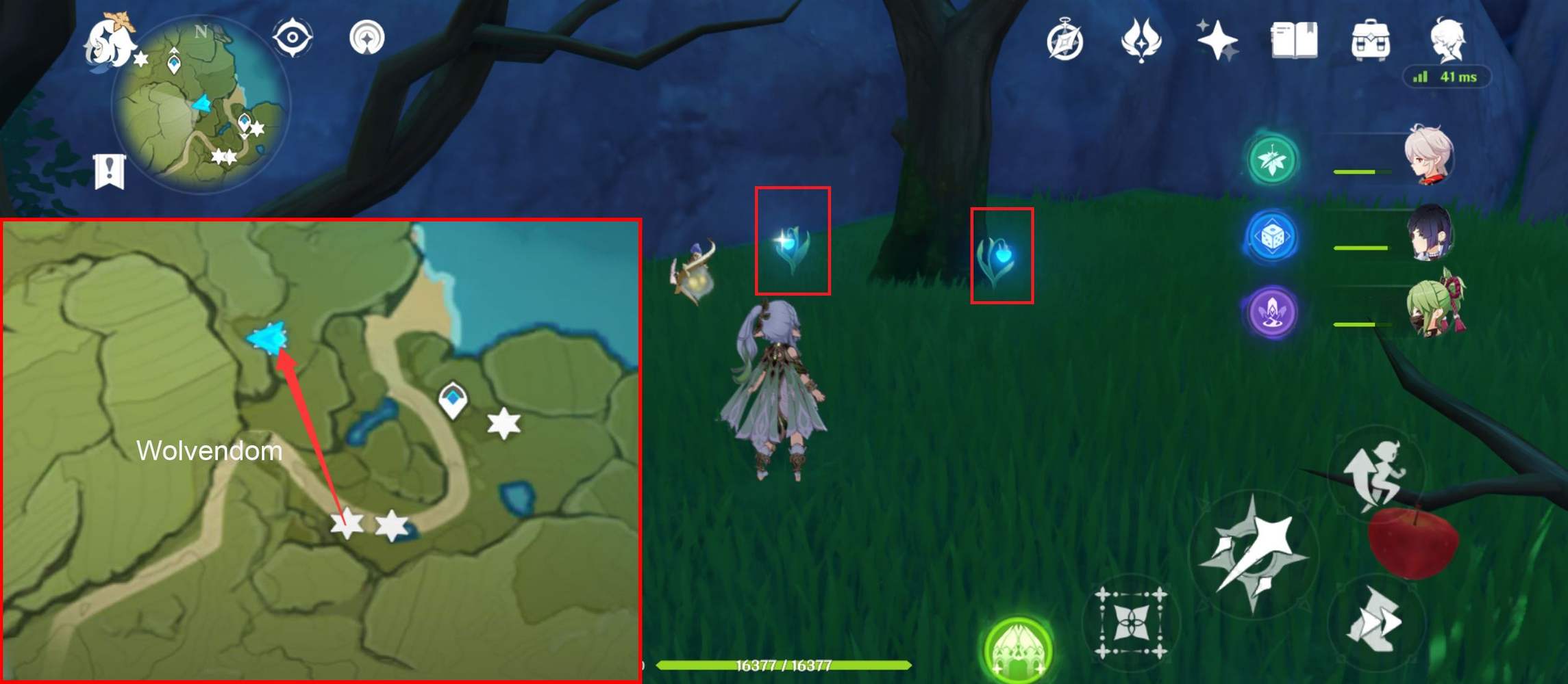 Small Lamp Grass*77 – Produce Material Farming Guide Genshin Impact ...