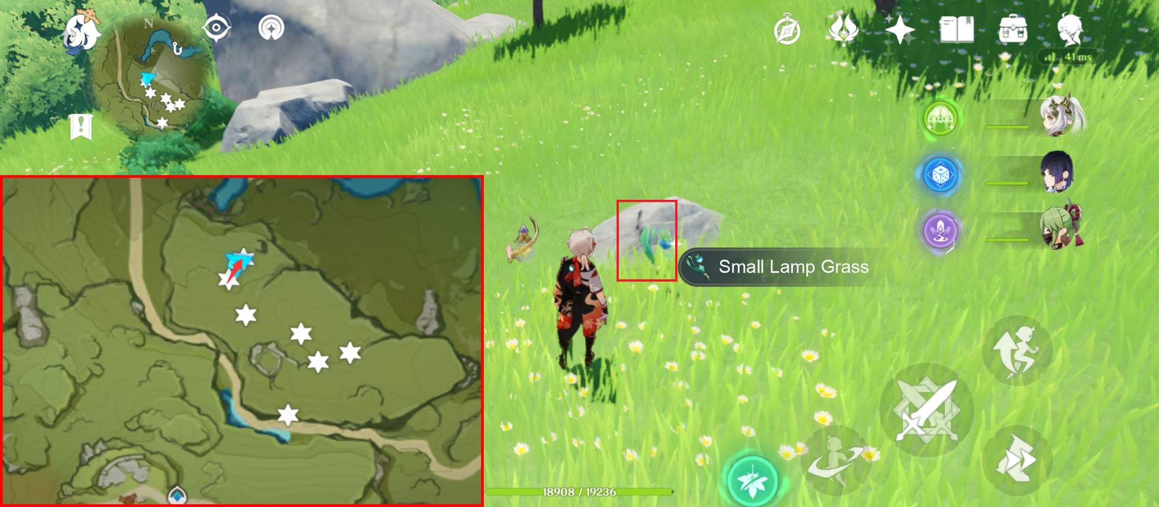 Small Lamp Grass*77 – Produce Material Farming Guide Genshin Impact ...