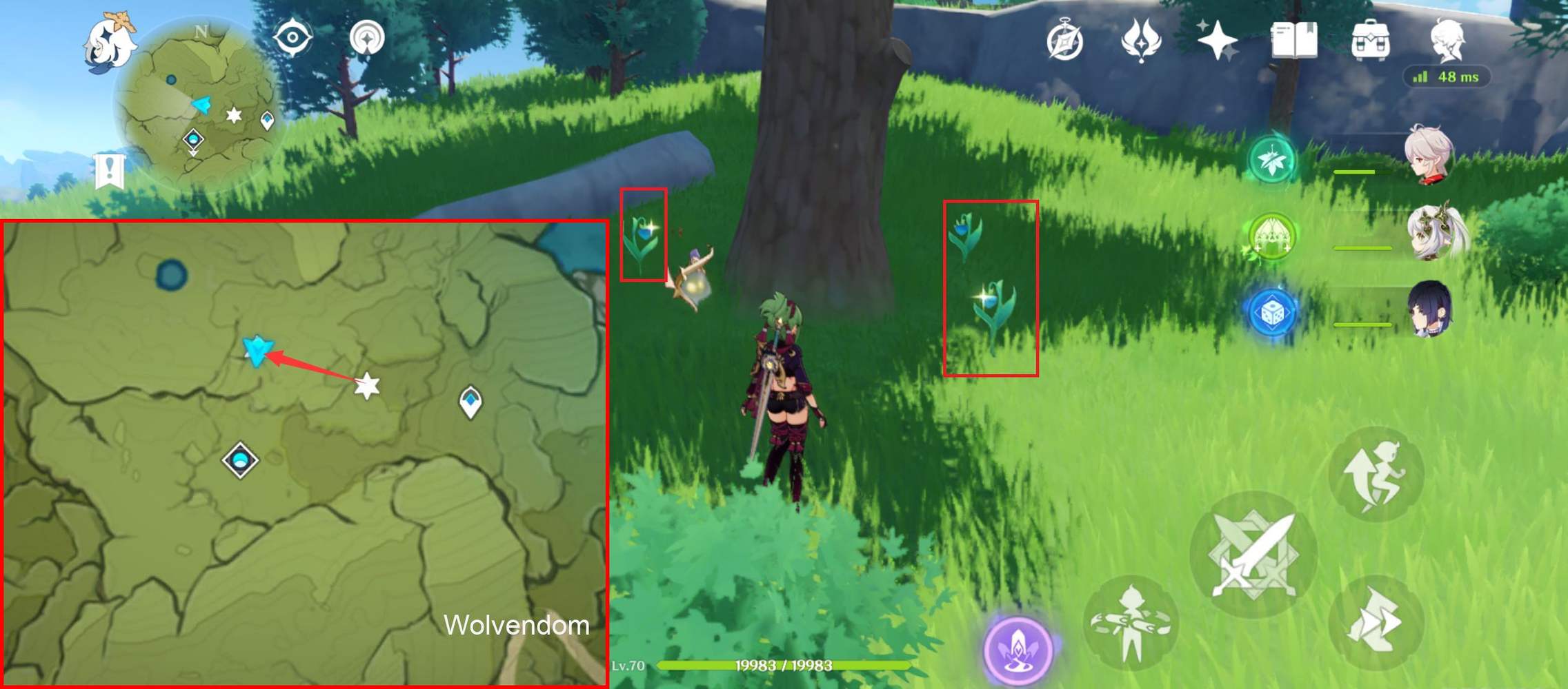 Small Lamp Grass*77 – Produce Material Farming Guide Genshin Impact ...