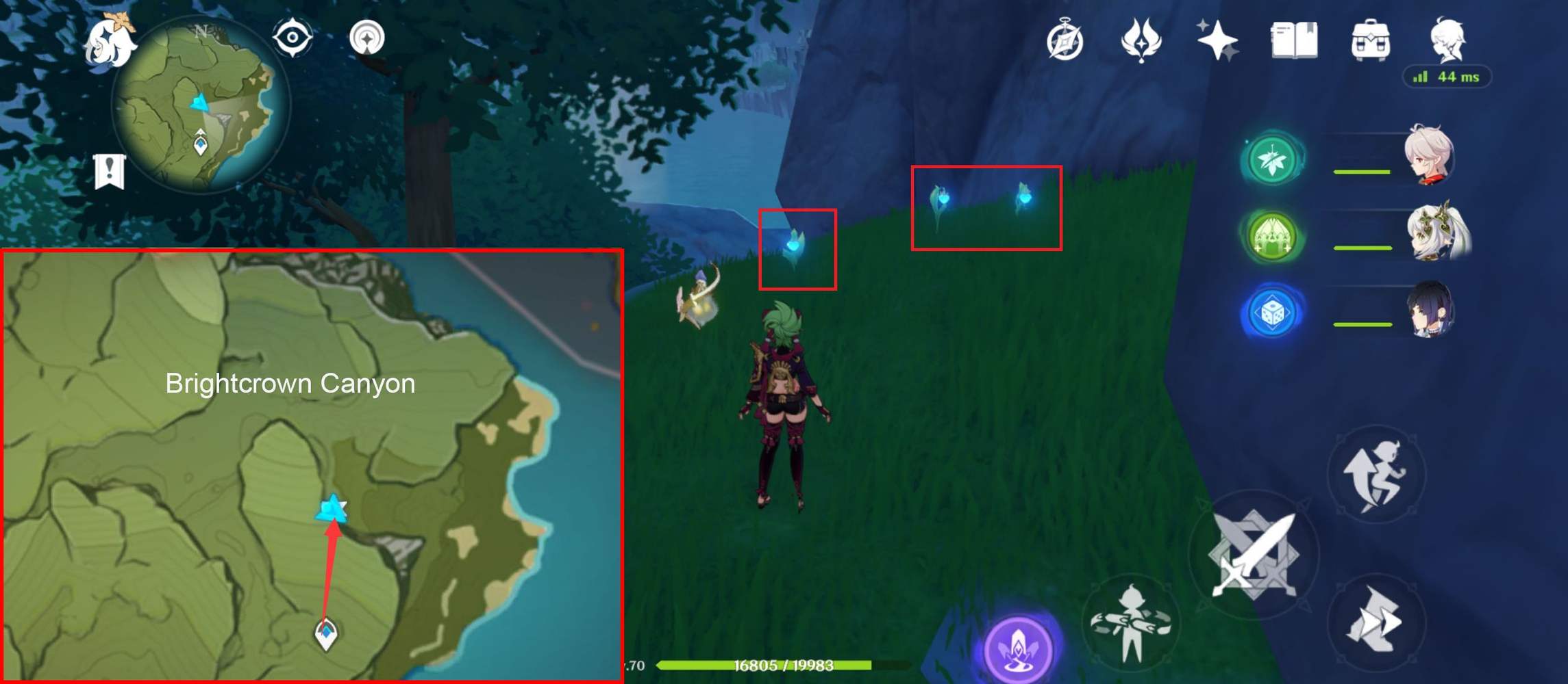 Small Lamp Grass*77 – Produce Material Farming Guide Genshin Impact ...