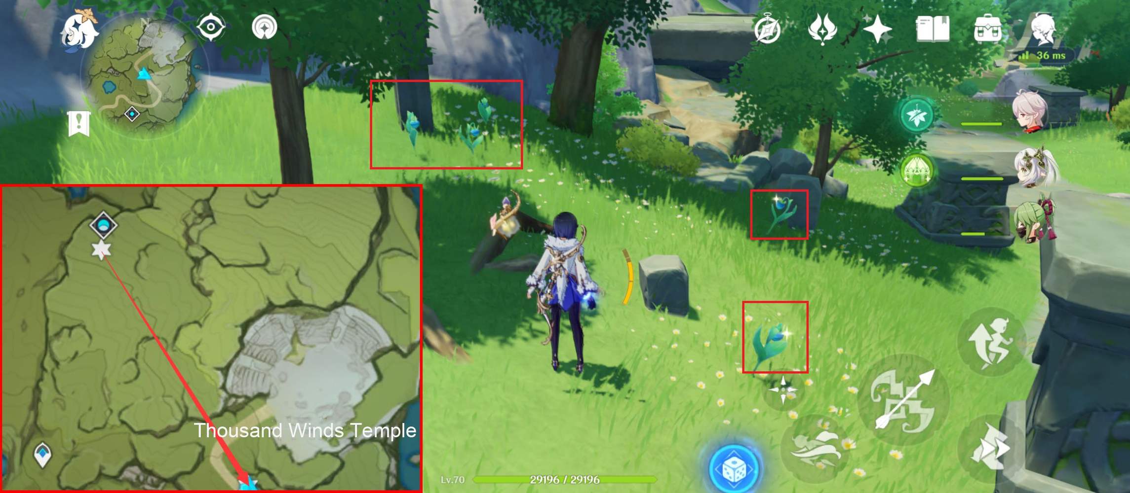 Small Lamp Grass*77 – Produce Material Farming Guide Genshin Impact ...