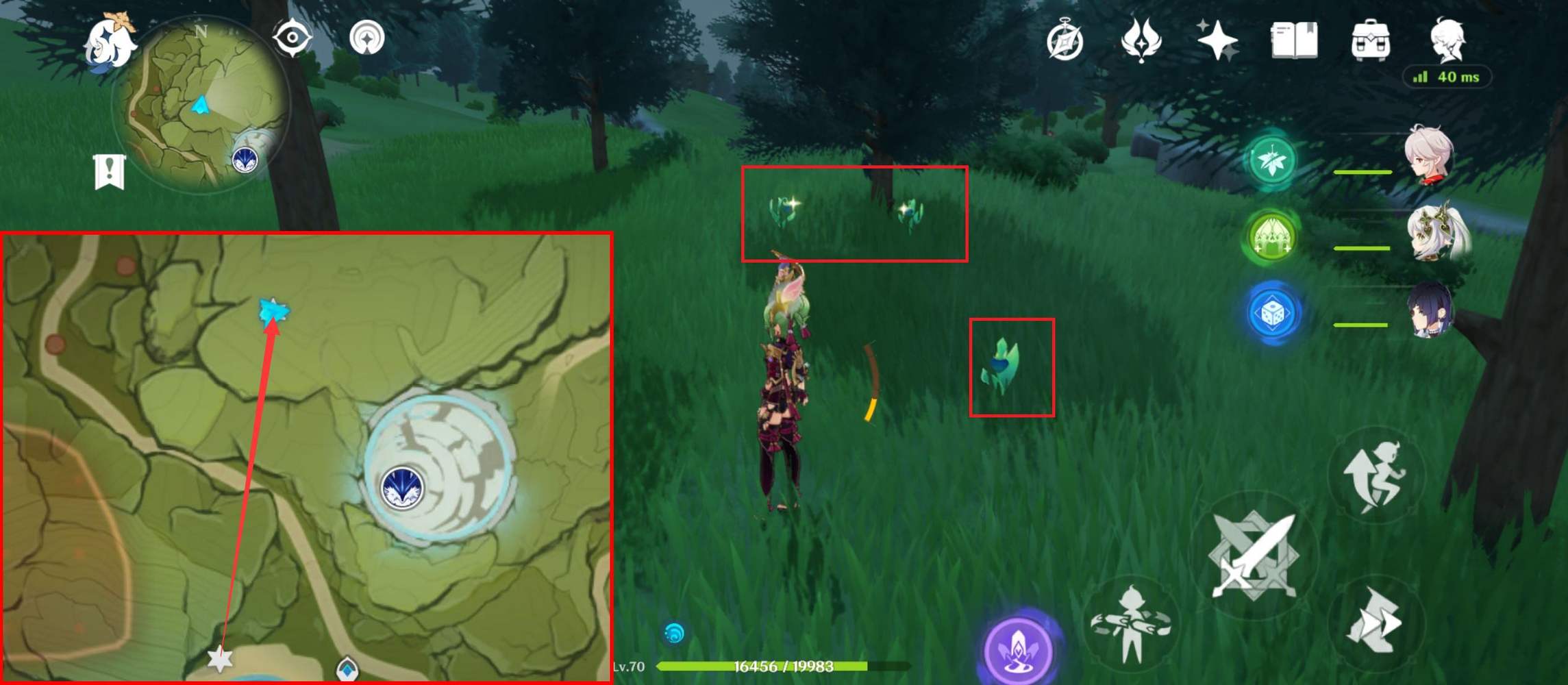 Small Lamp Grass*77 – Produce Material Farming Guide Genshin Impact ...