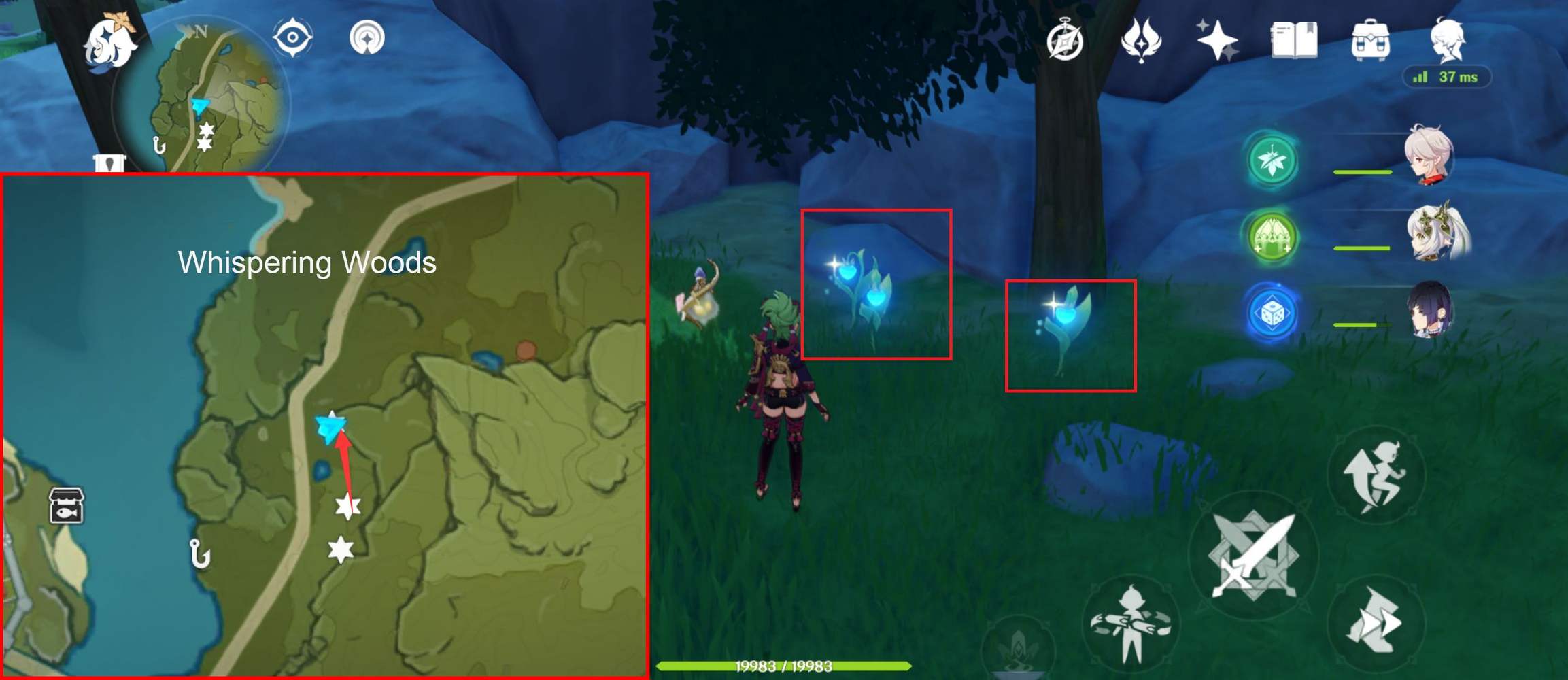 Small Lamp Grass*77 – Produce Material Farming Guide Genshin Impact ...