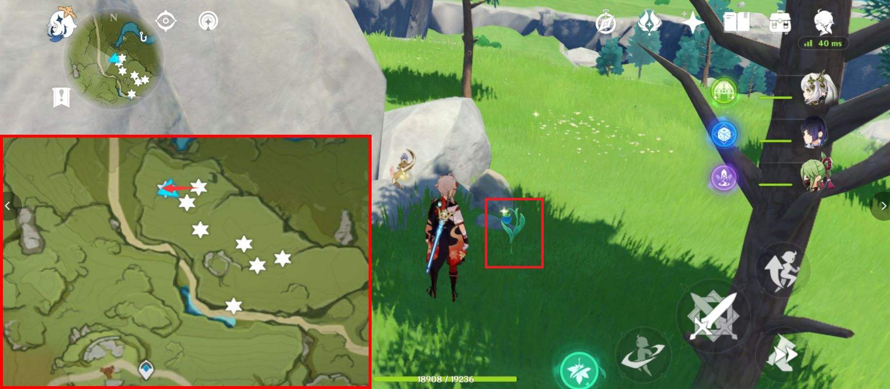 Small Lamp Grass*77 – Produce Material Farming Guide Genshin Impact ...