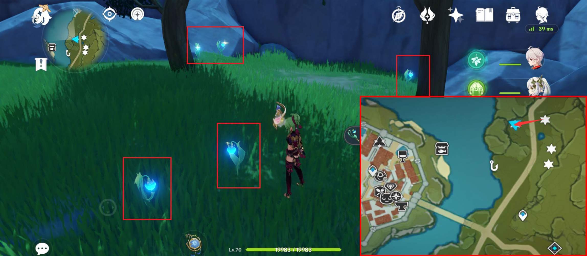 Lucetta*77 - Guía para farmear el objeto típico Genshin Impact | HoYoLAB