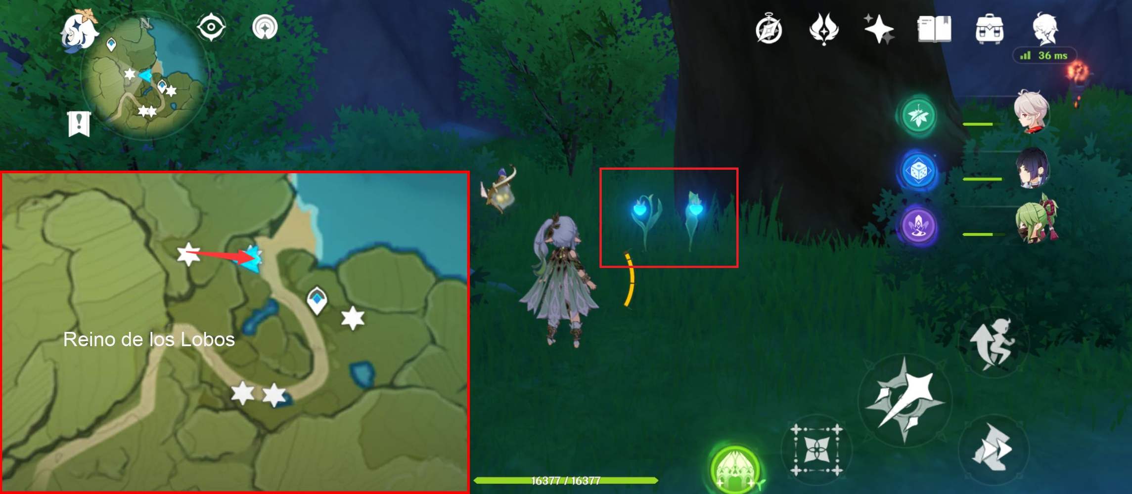 Lucetta*77 - Guía para farmear el objeto típico Genshin Impact | HoYoLAB