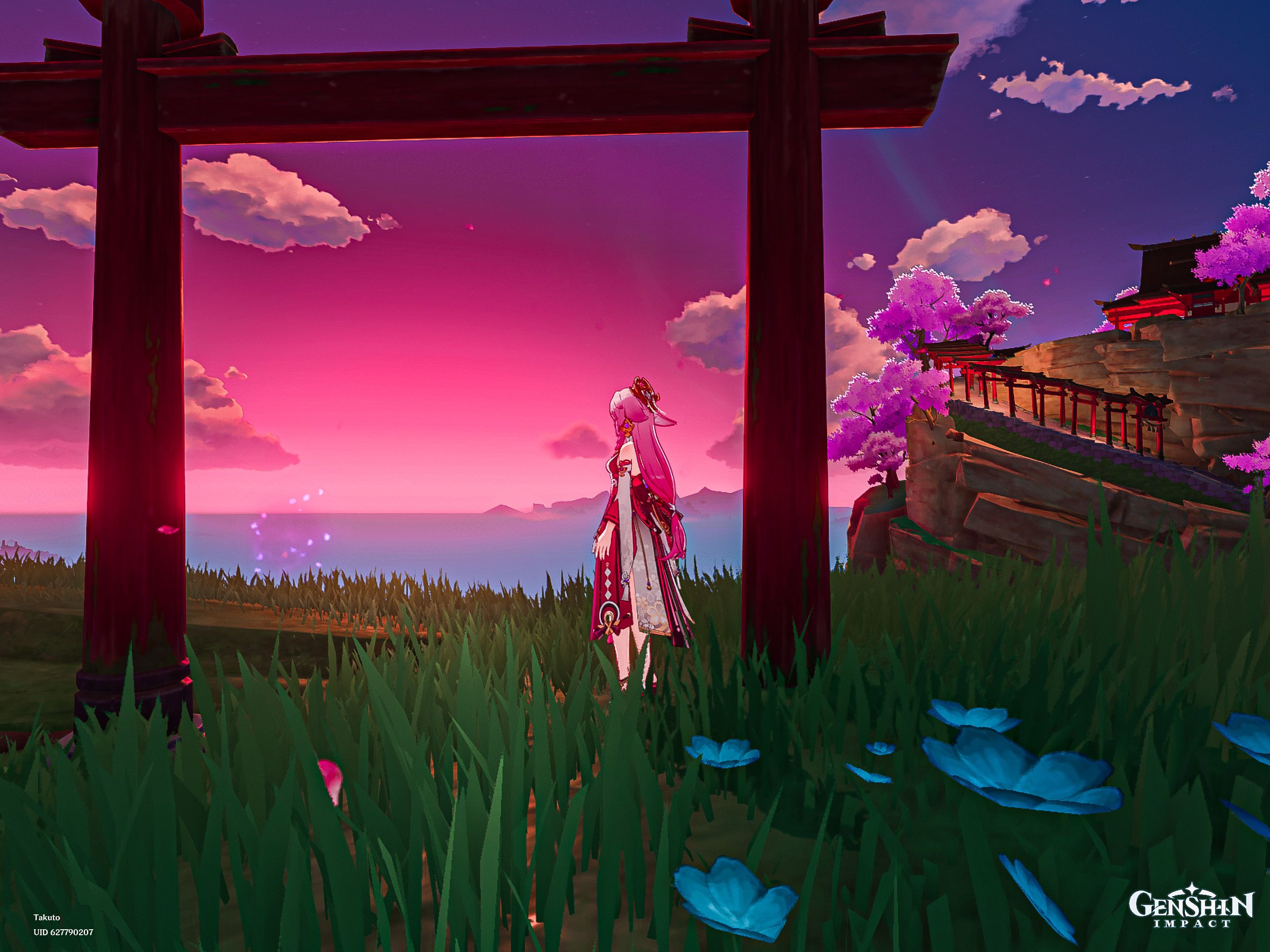 Pink Sunset Genshin Impact | HoYoLAB