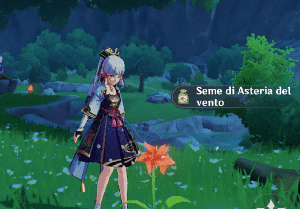 Paimon ti aiuta, Serenteiera, cos'è? come usarla? è utile? Genshin ...