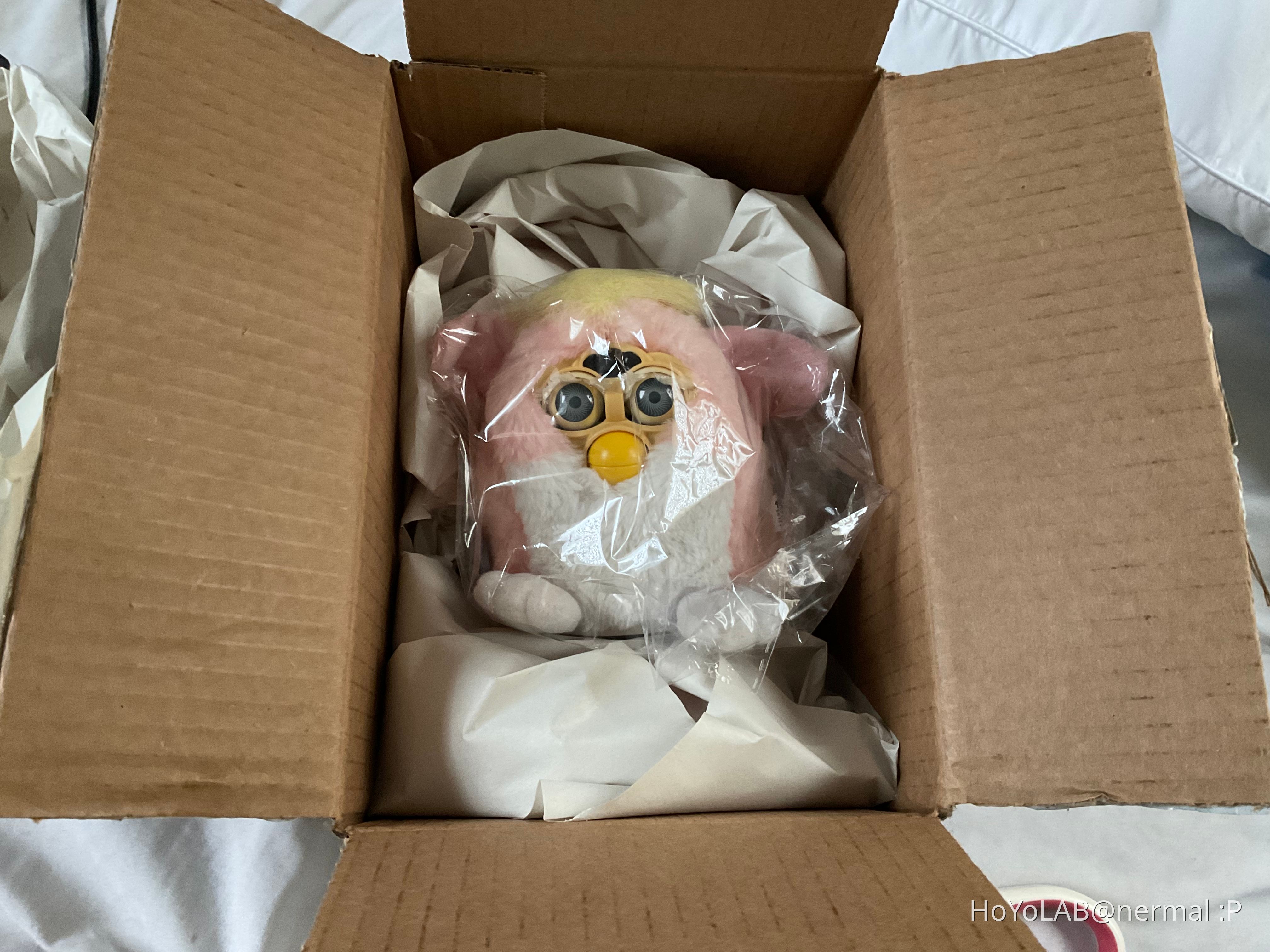 Furby unboxing Genshin Impact | HoYoLAB