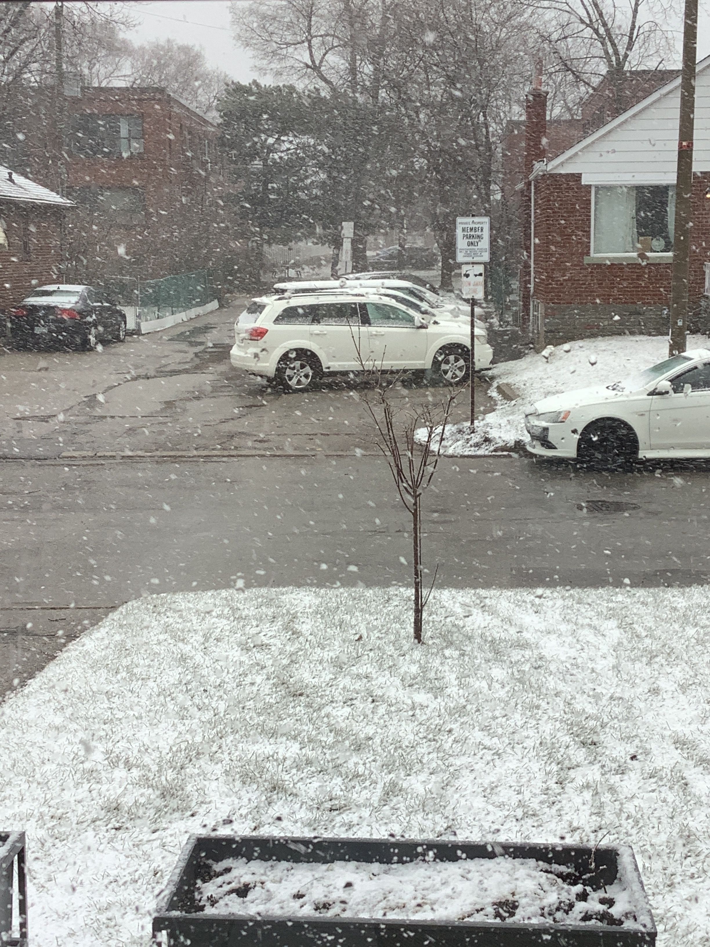 Are we completely sure its the end of march? | HoYoLAB