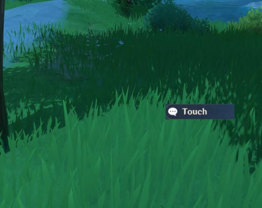 grass is toxic | HoYoLAB